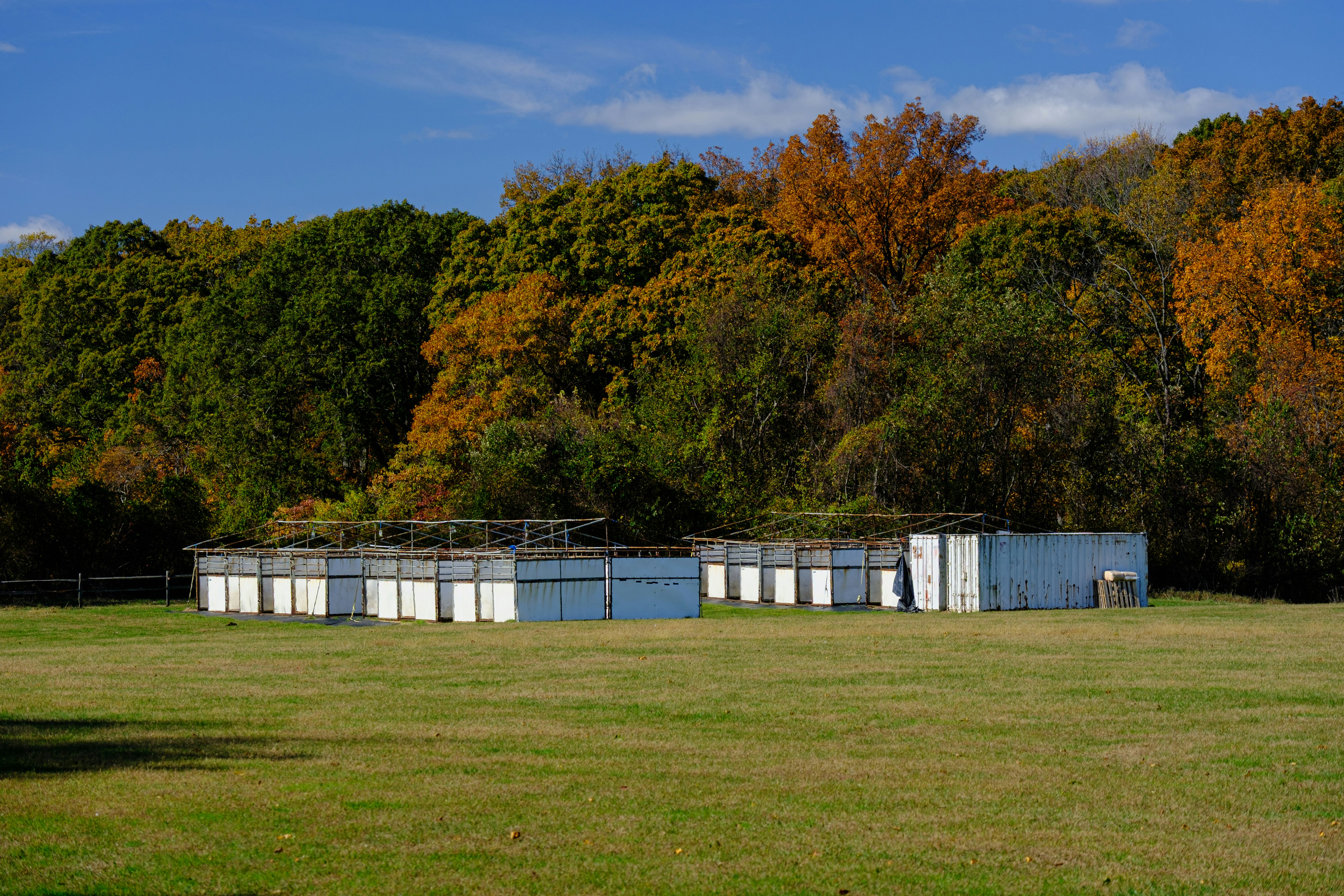 Photo by MICHAEL CHIARA with Fujifilm X-H2S