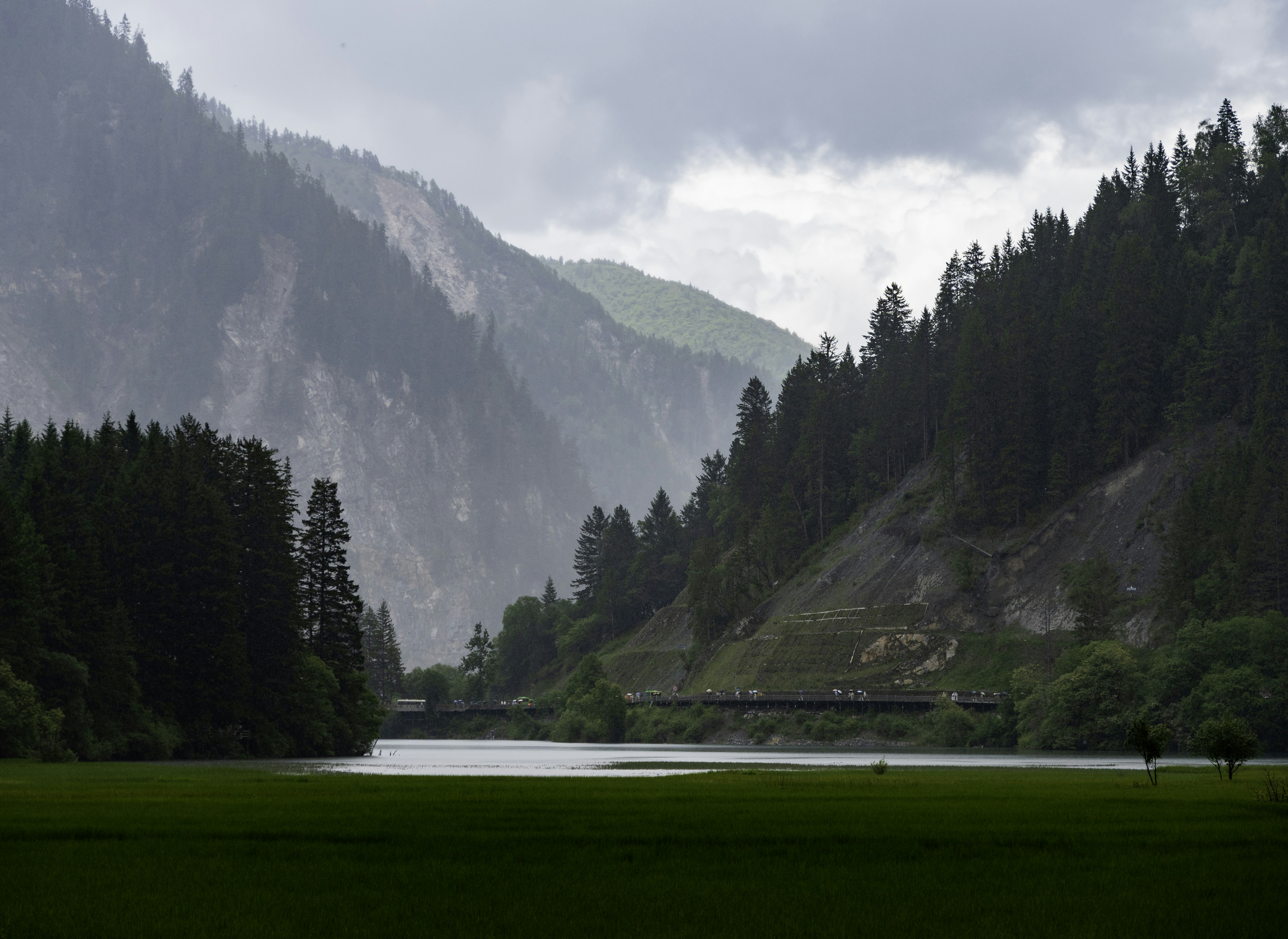 Whispers of the Misty Valley