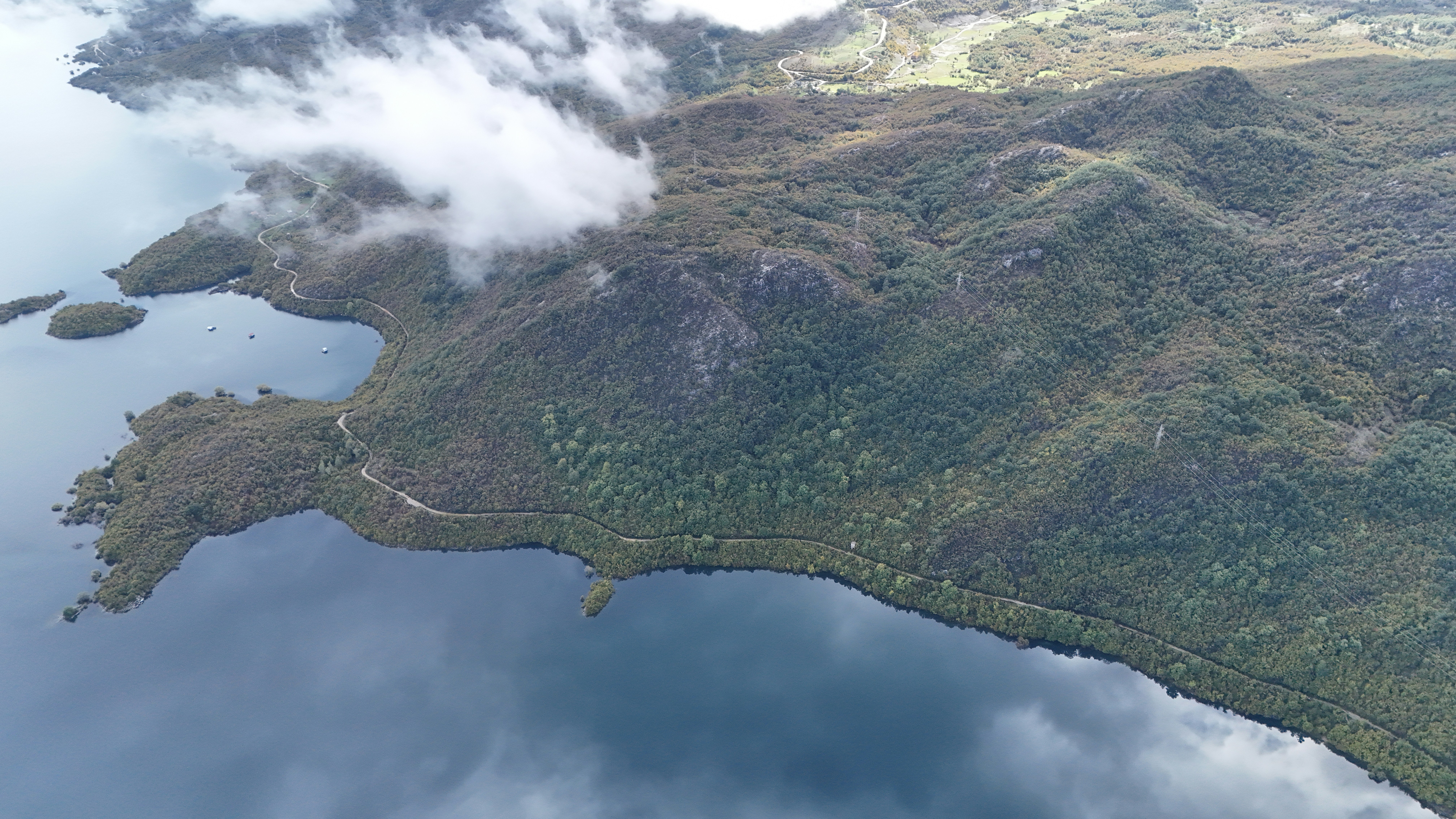 Aerial view of lush green hills meeting tranquil waters, with winding paths and soft clouds enhancing the serene landscape.