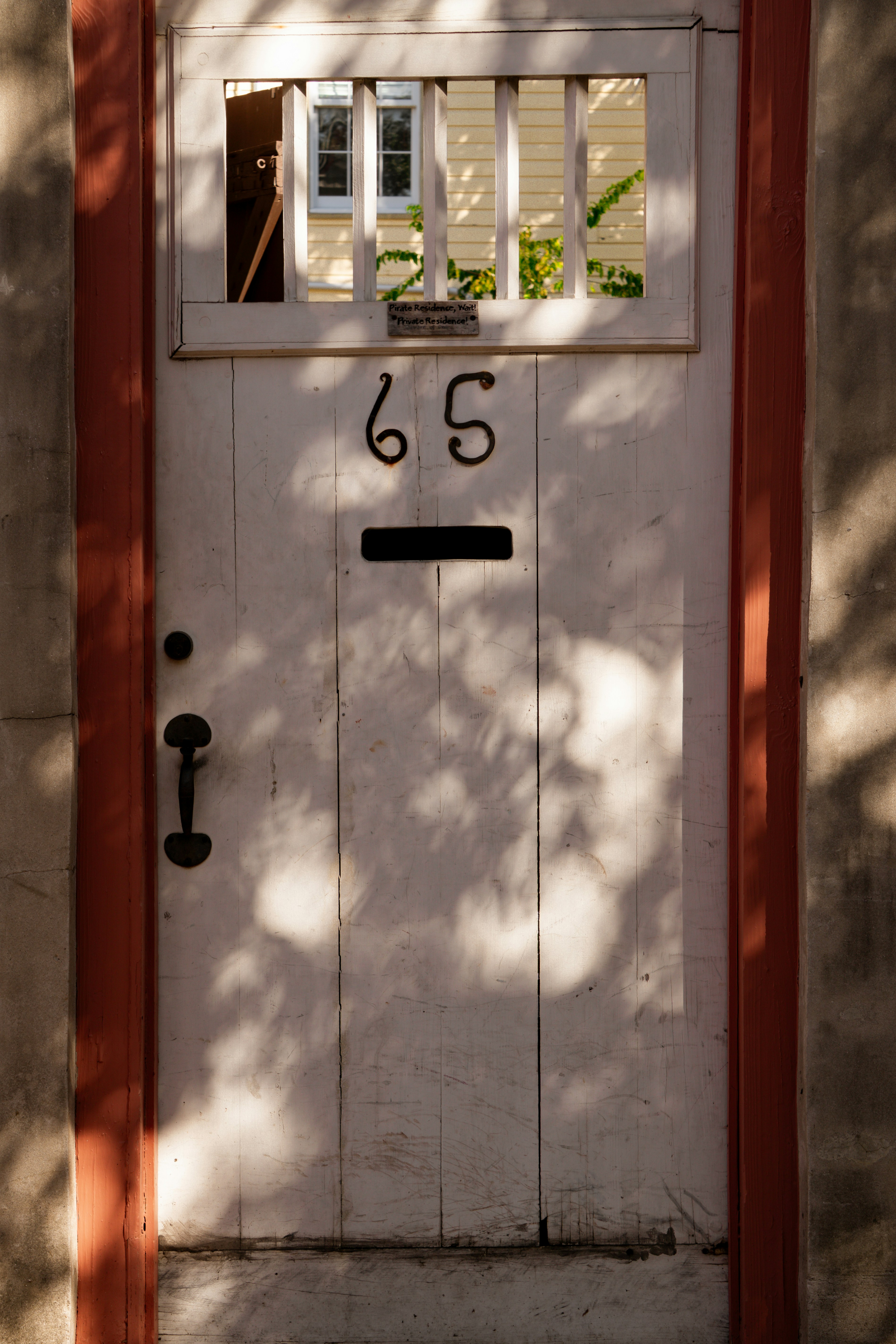 Photo by Angelica Teran with Sony Alpha 6500