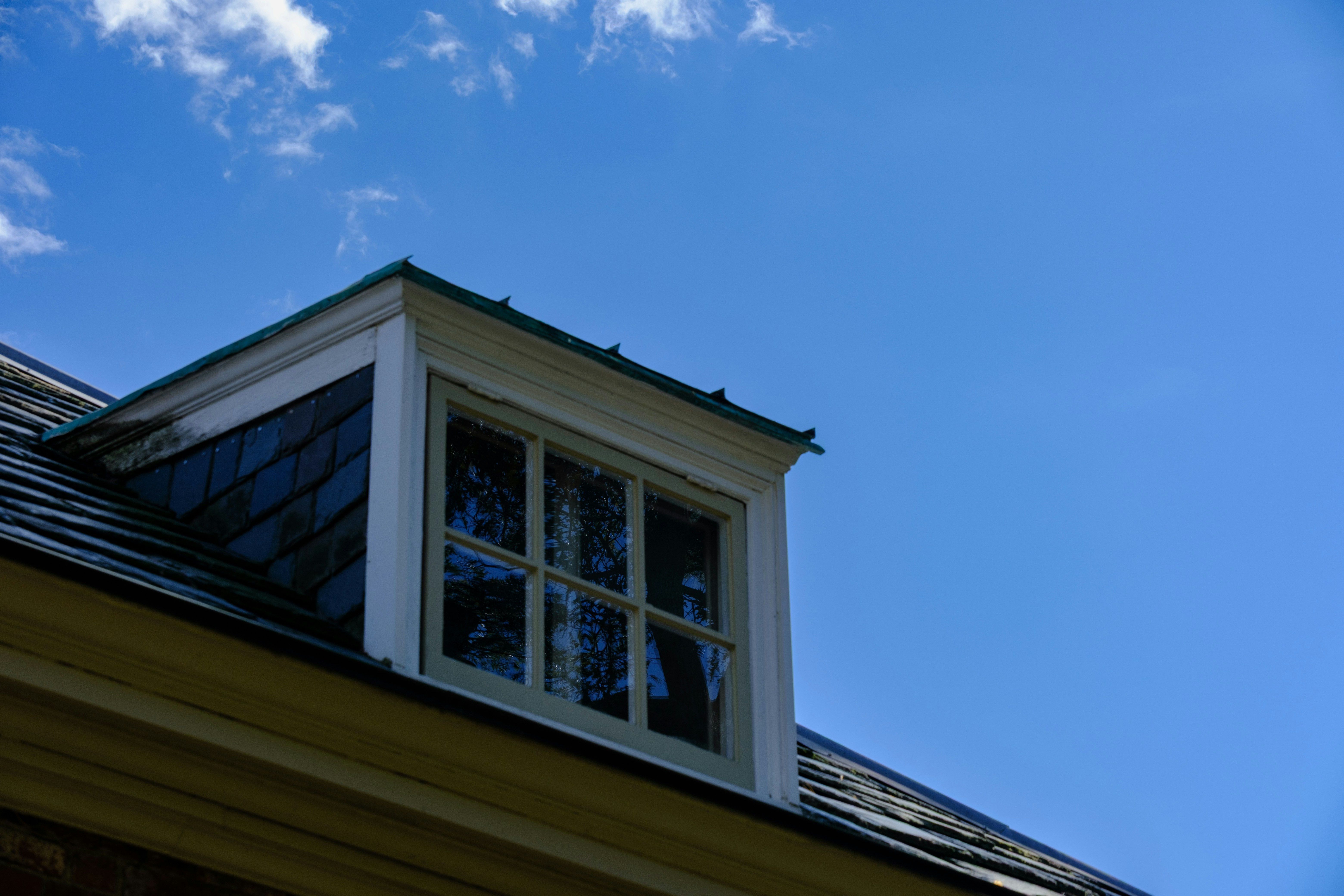 Skyward Glimpse: A Window to the Blue