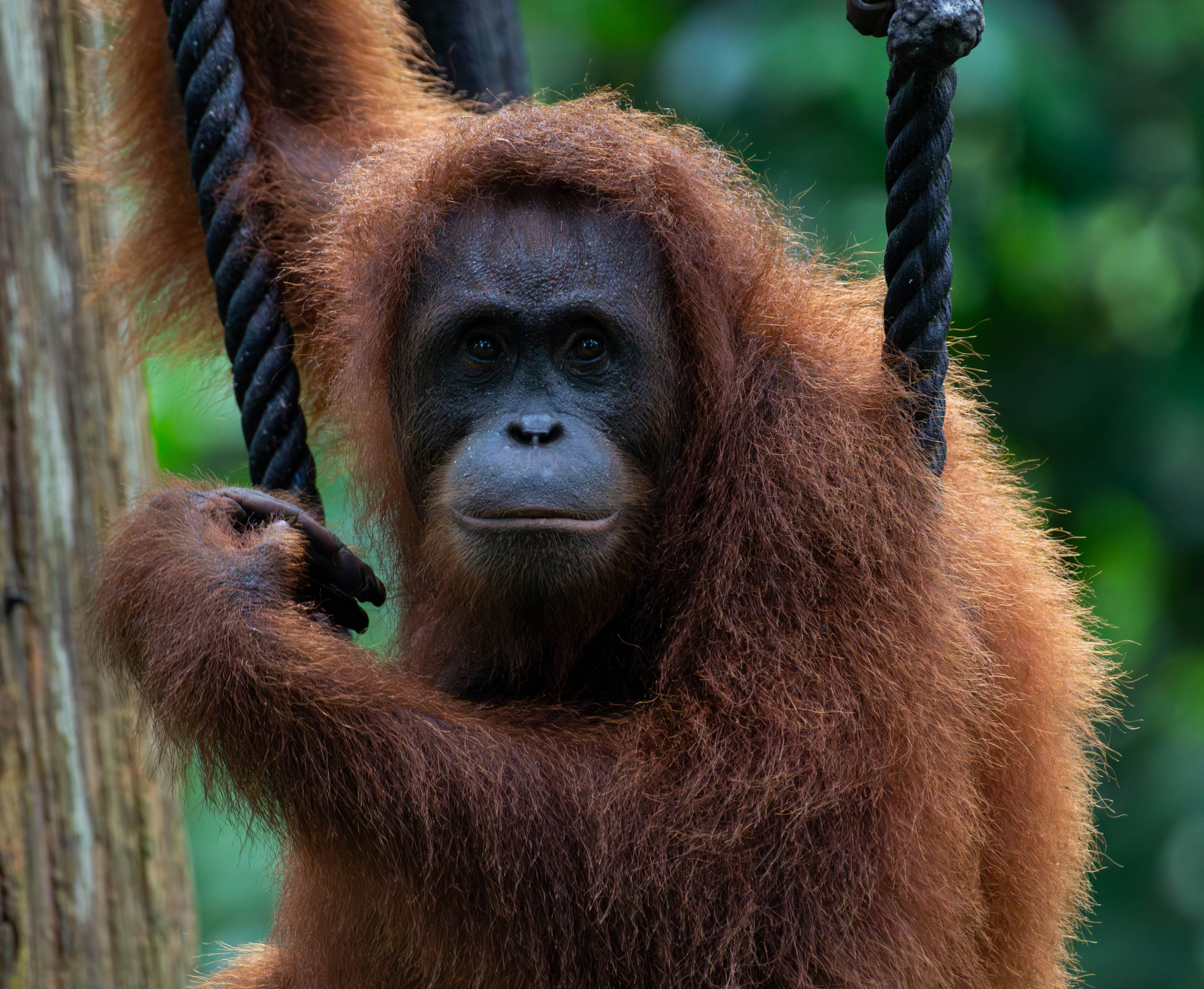 Photo by Avigna Krish Dyala Kumar with Nikon D3200