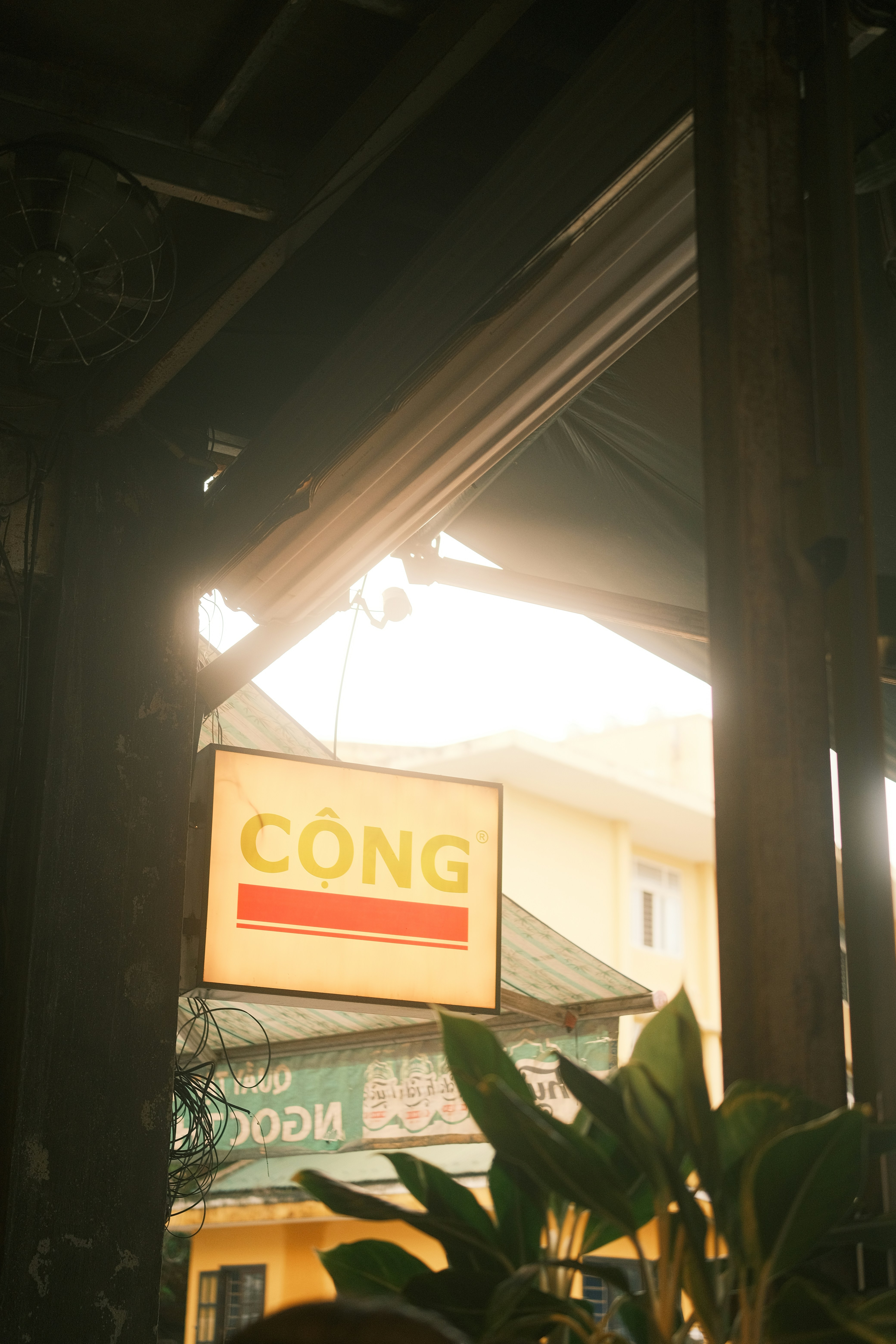 Urban Glow: The Sign of Connection