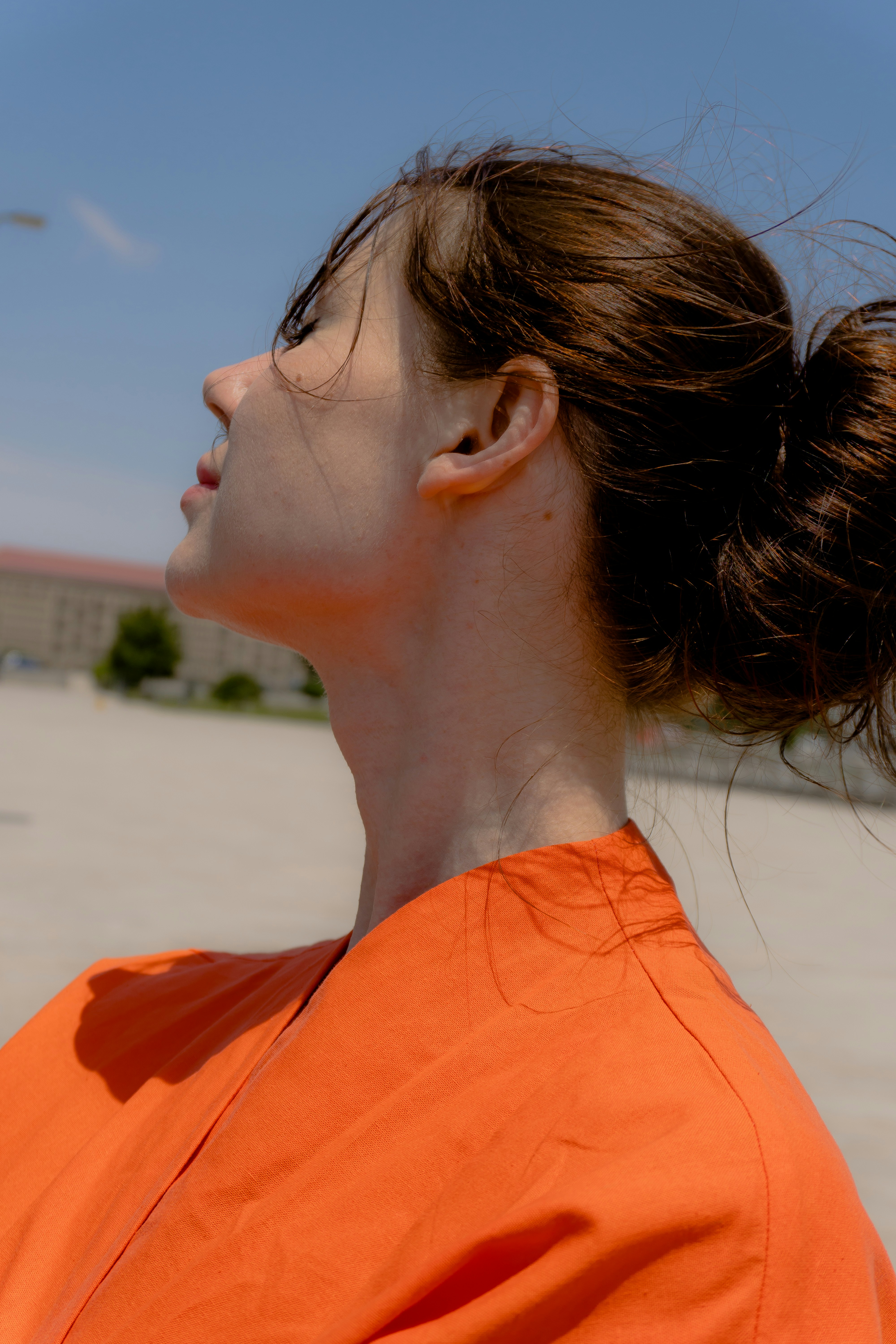 Profile in Sun: An Upward Gaze Beneath a Bright Sky