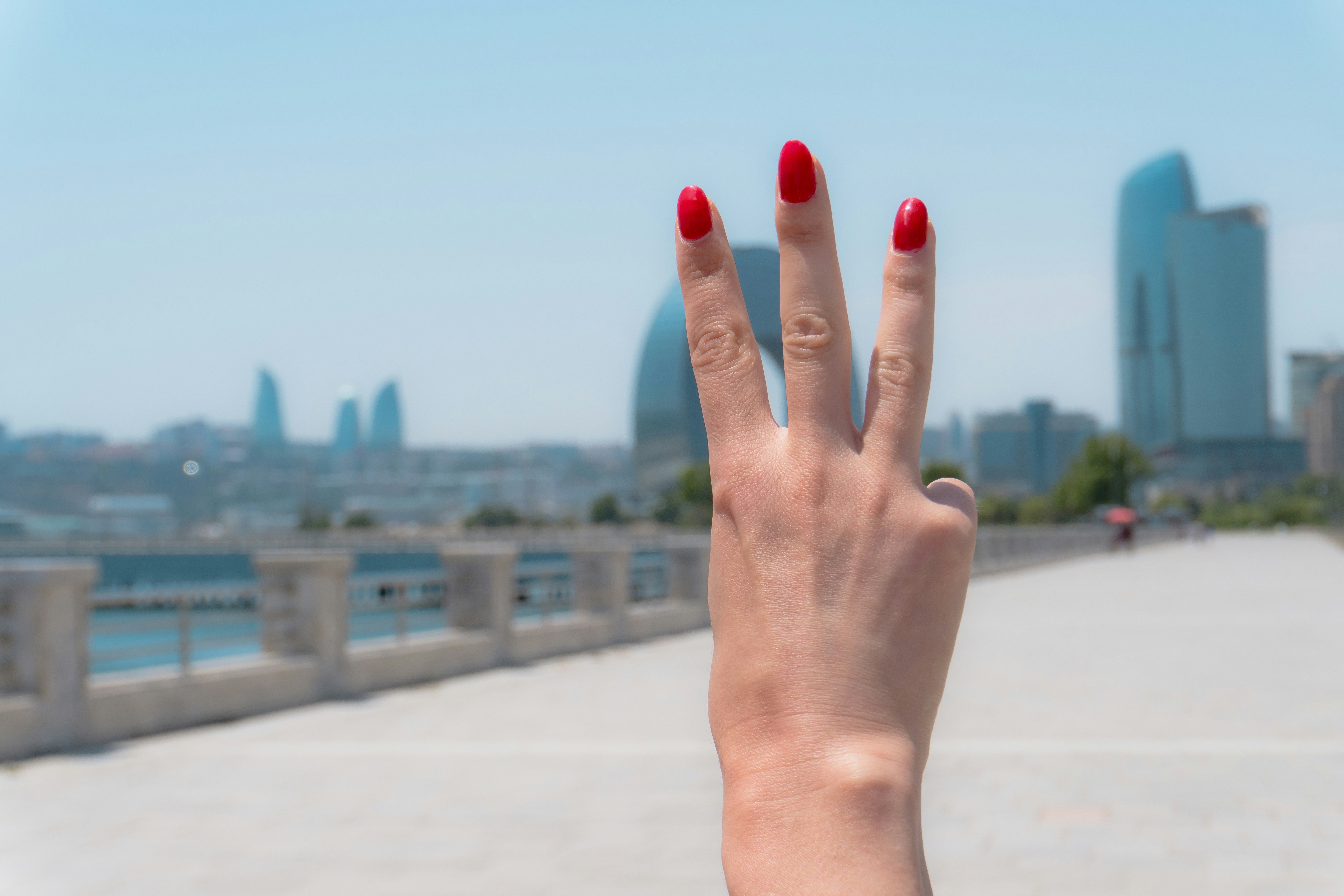 Crimson Fingers Framing a Seafront Skyline
