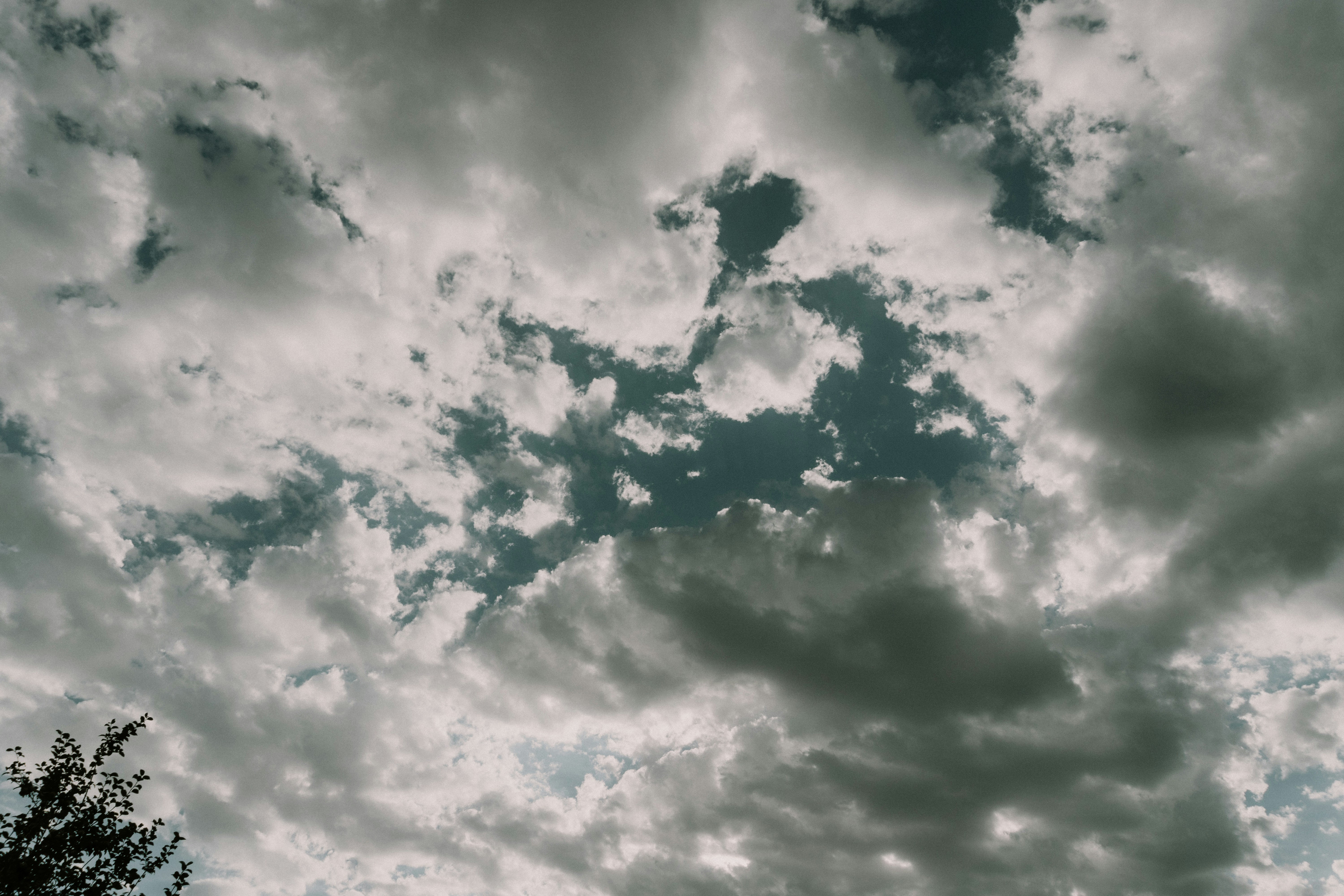 Photo by Zulfugar Karimov with Sony Alpha 6400