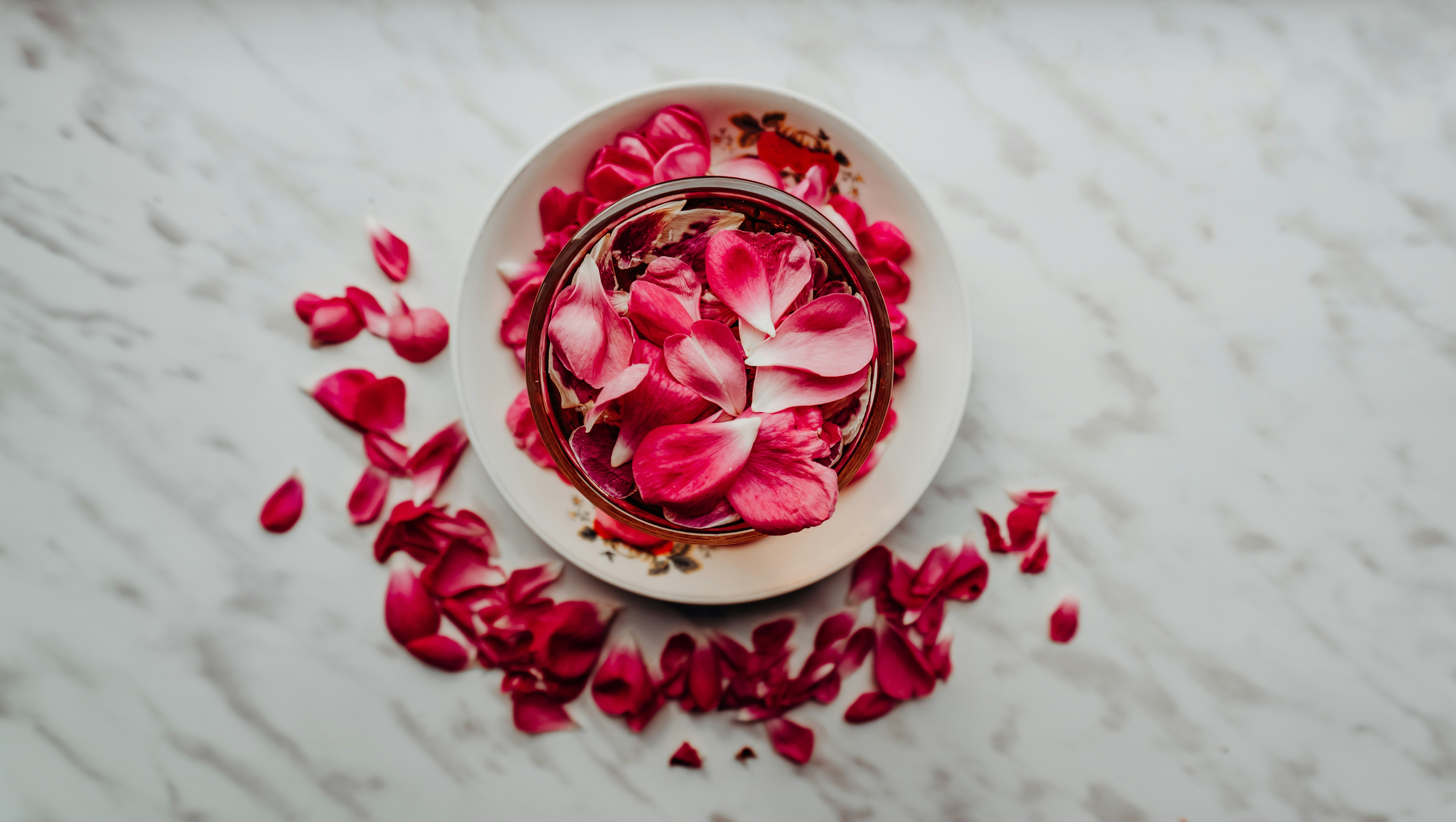Petals in Harmony: A Delicate Arrangement