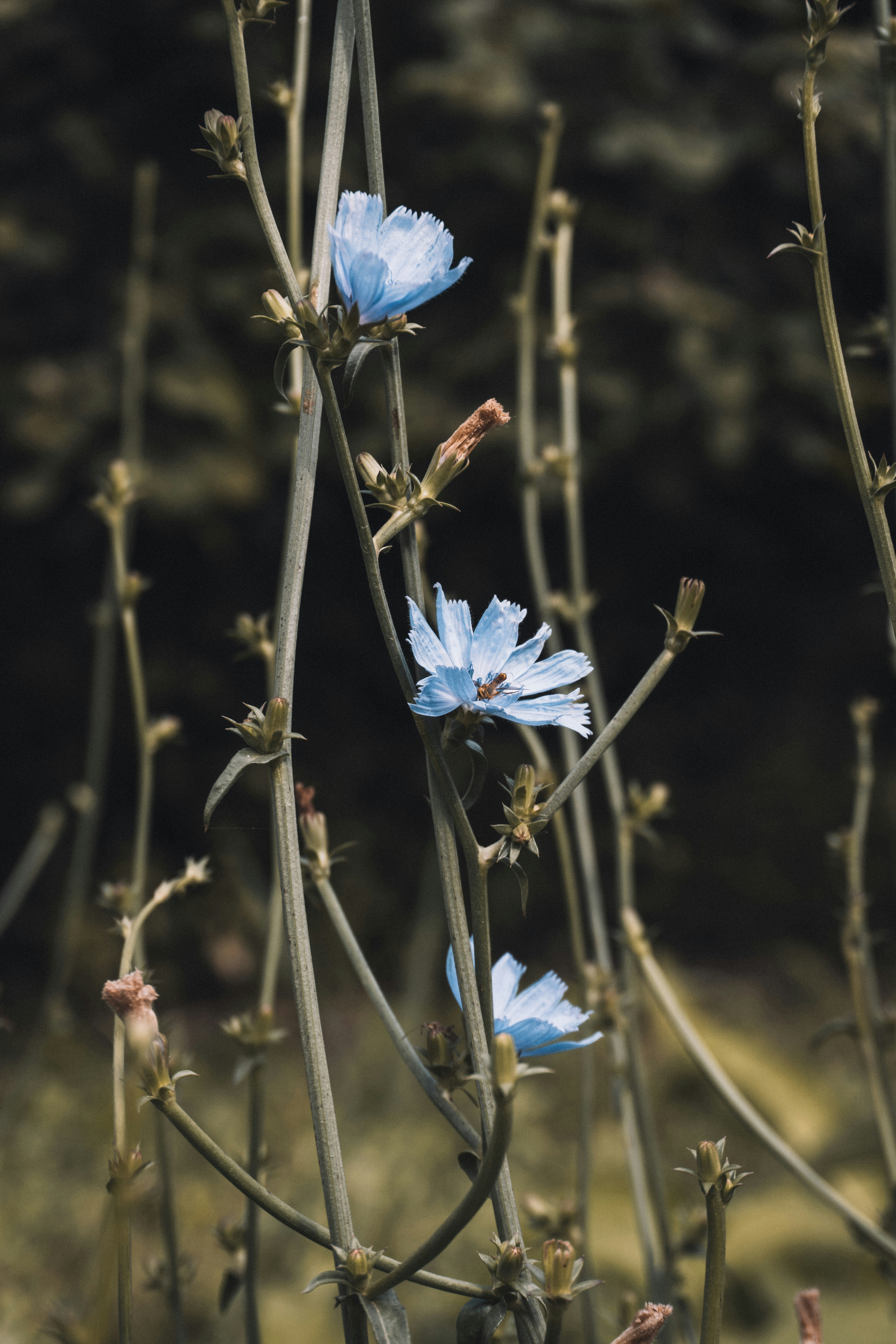 Photo by Zulfugar Karimov with Sony Alpha 6400