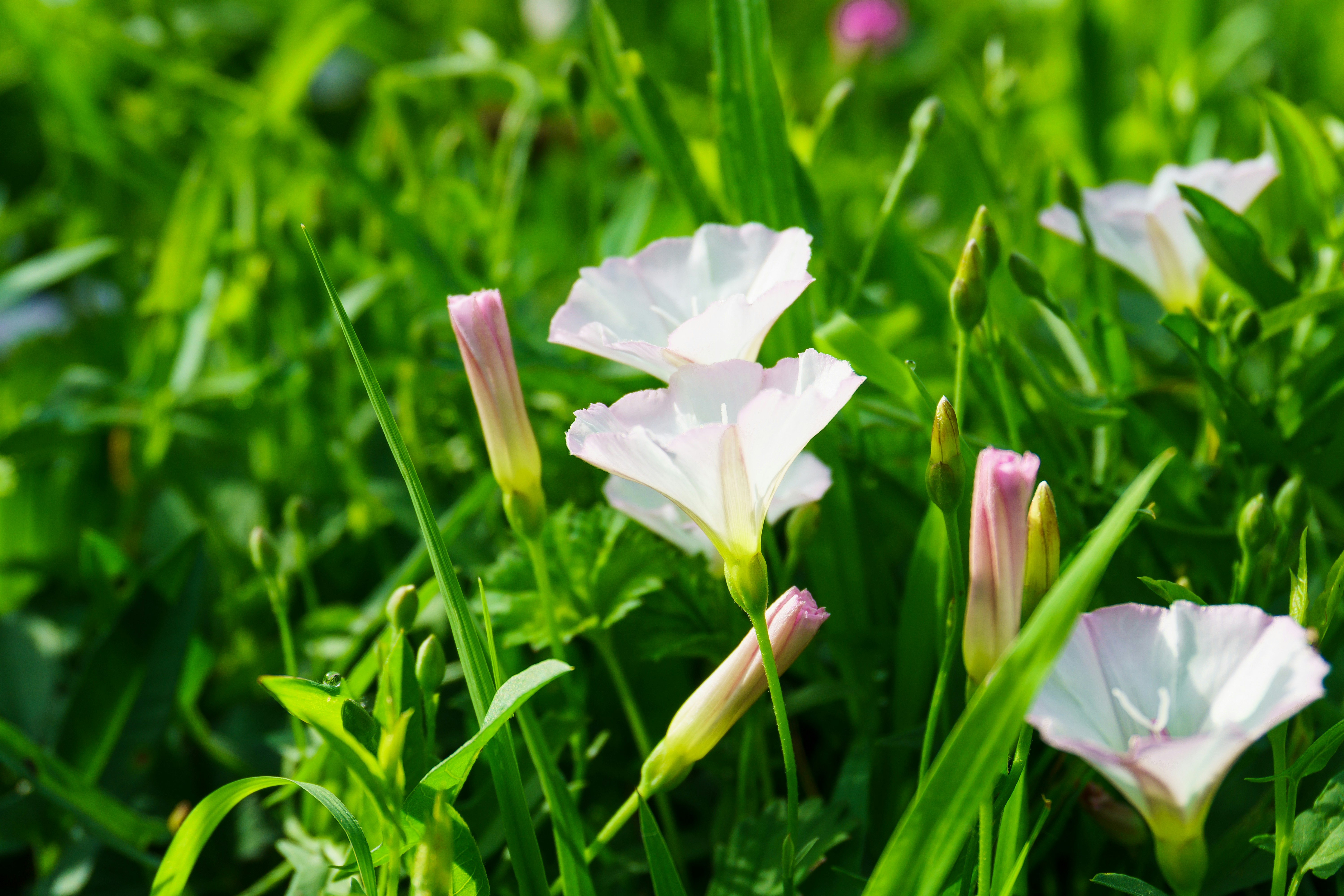 Photo by Zulfugar Karimov with Sony Alpha 6400