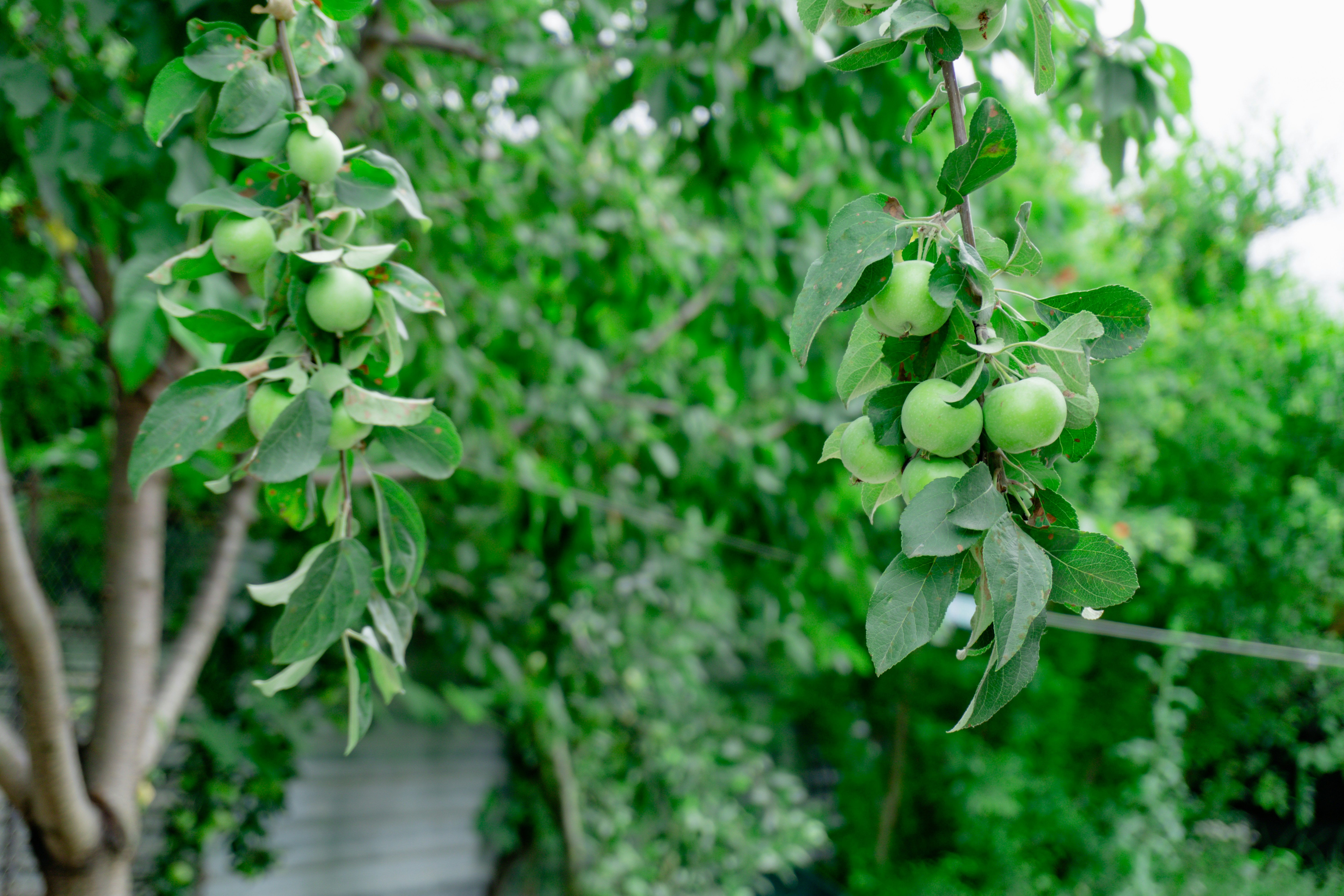 Photo by Zulfugar Karimov with Sony Alpha 6400