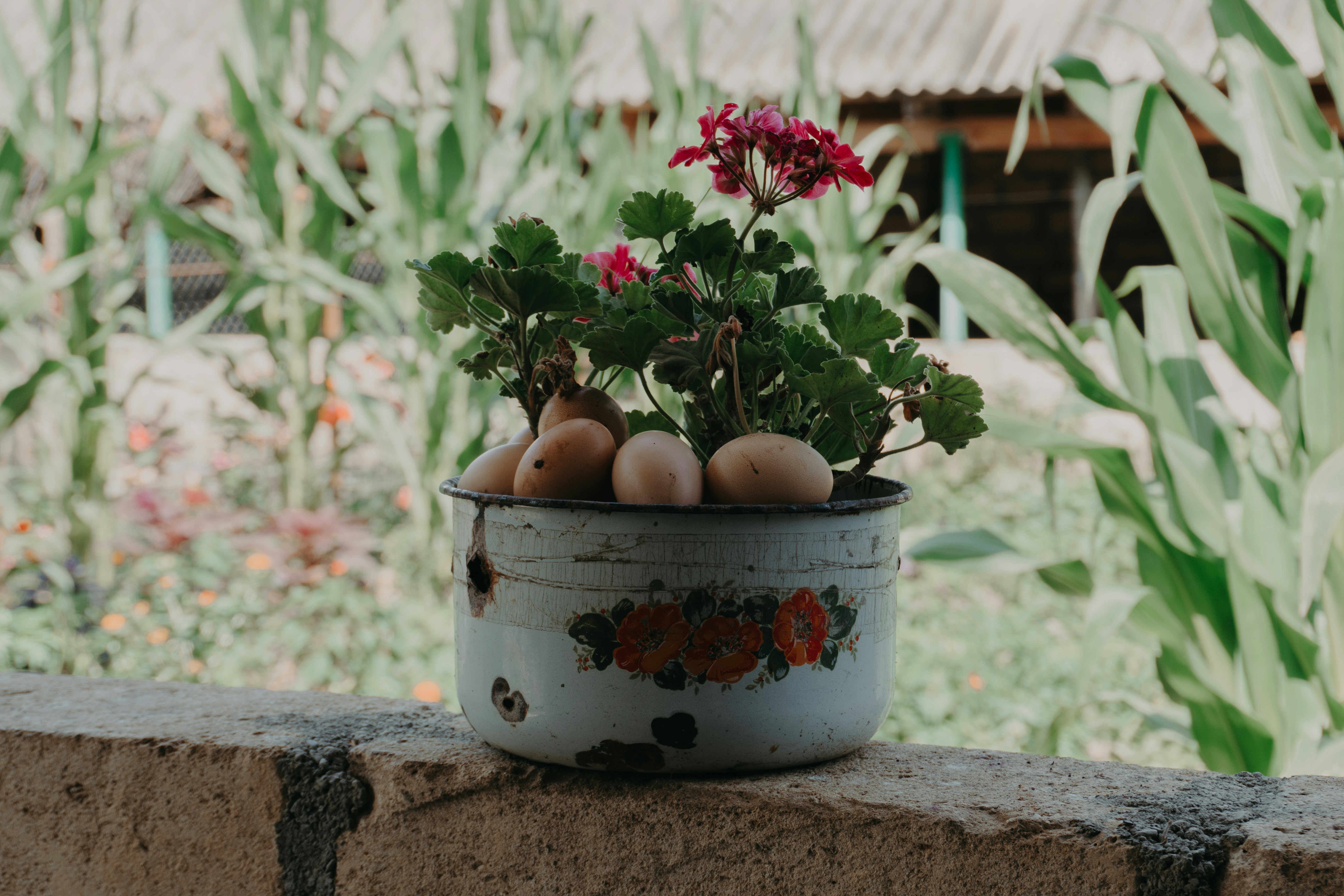Whimsical Harmony: Nature and Nurture in a Rustic Planter