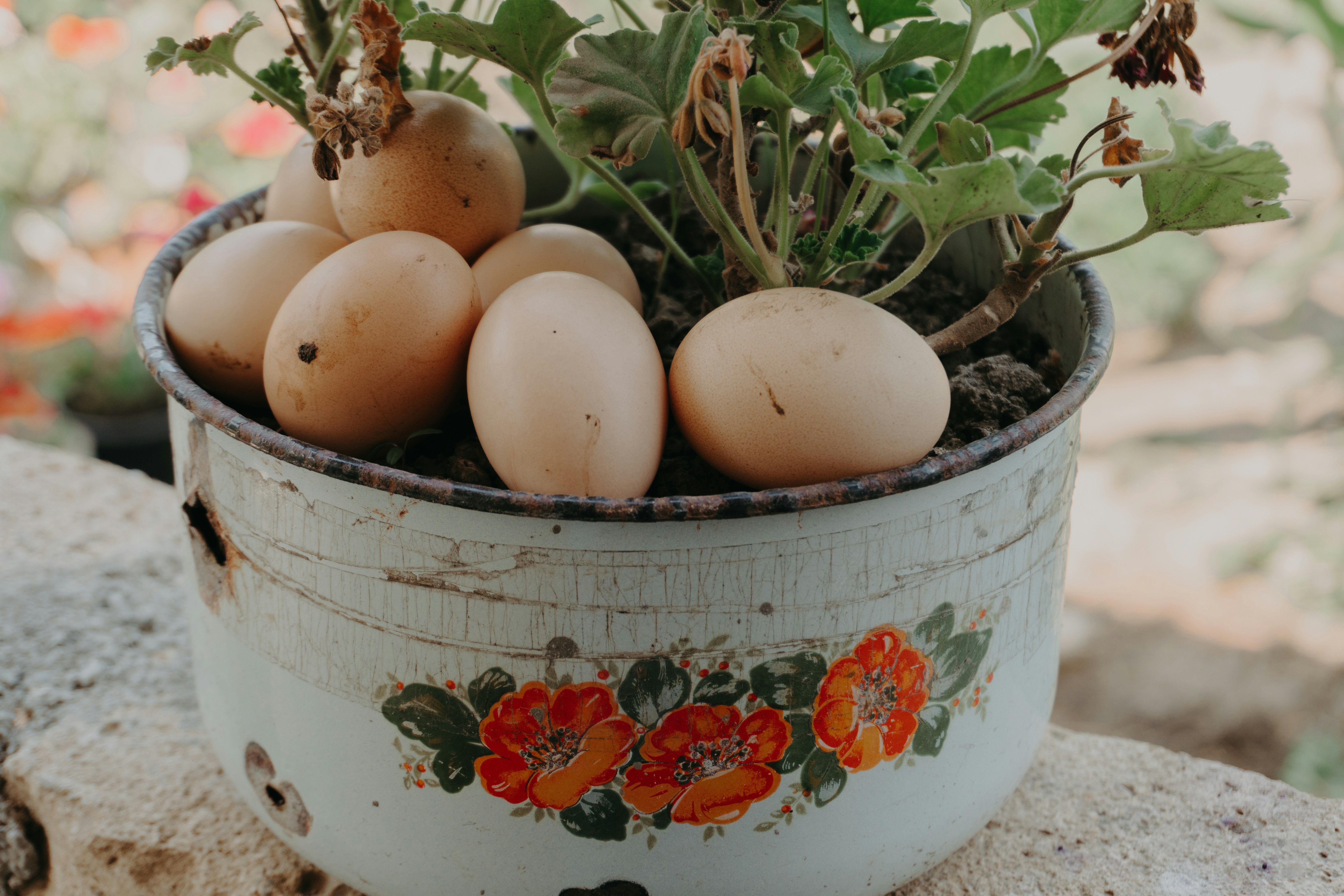 Photo by Zulfugar Karimov with Sony Alpha 6400