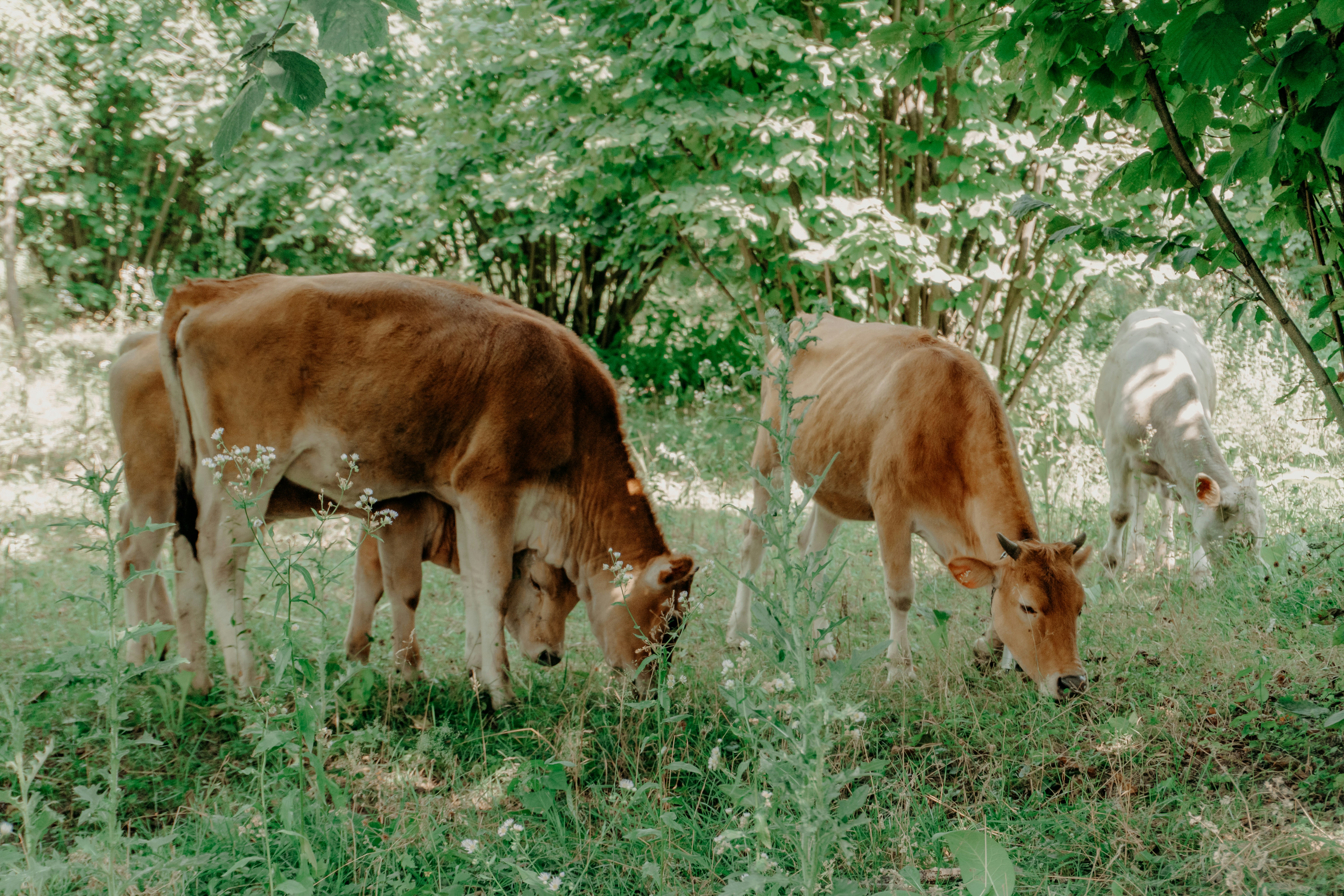 Photo by Zulfugar Karimov with Sony Alpha 6400