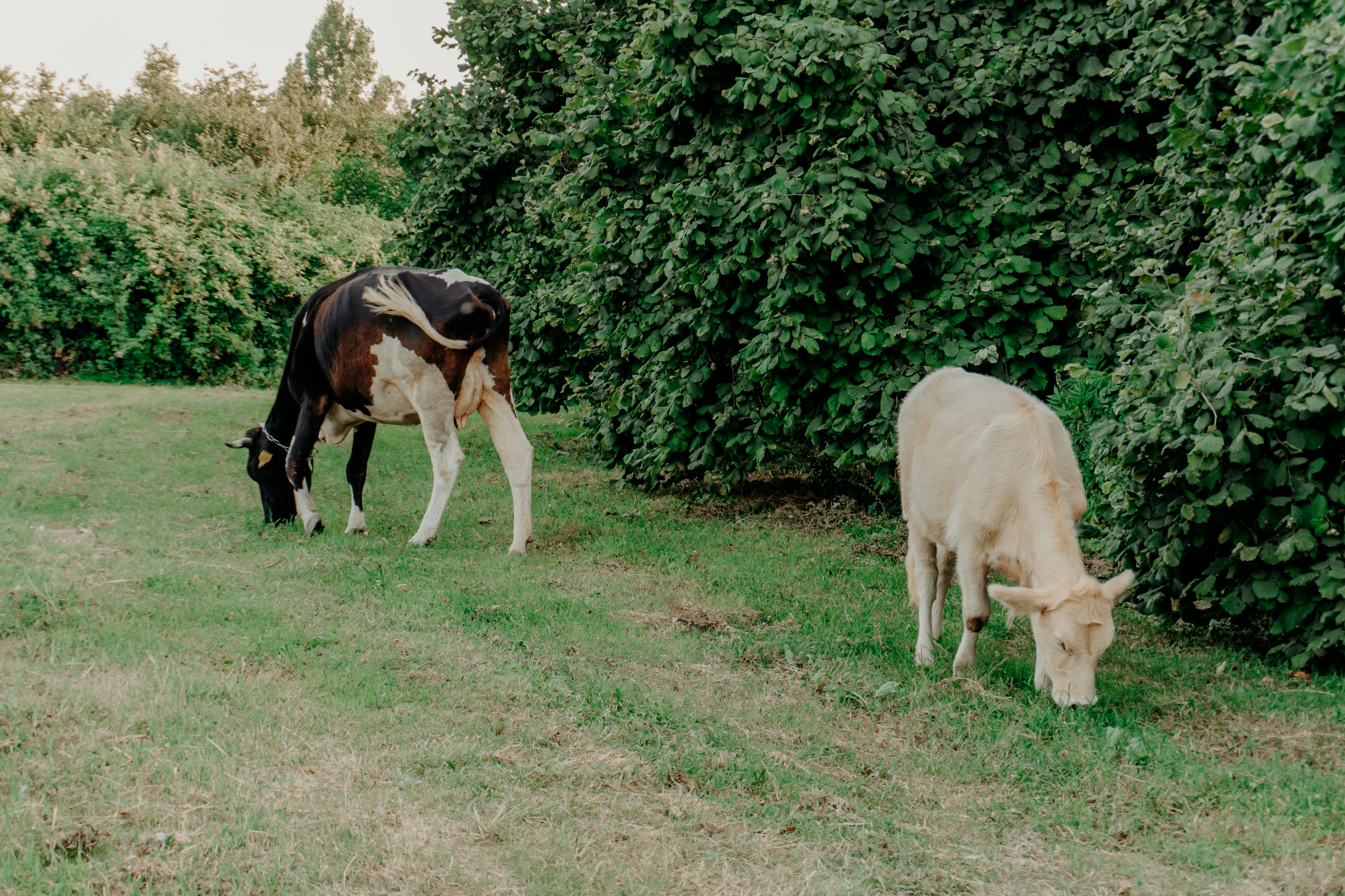 Photo by Zulfugar Karimov with Sony Alpha 6400