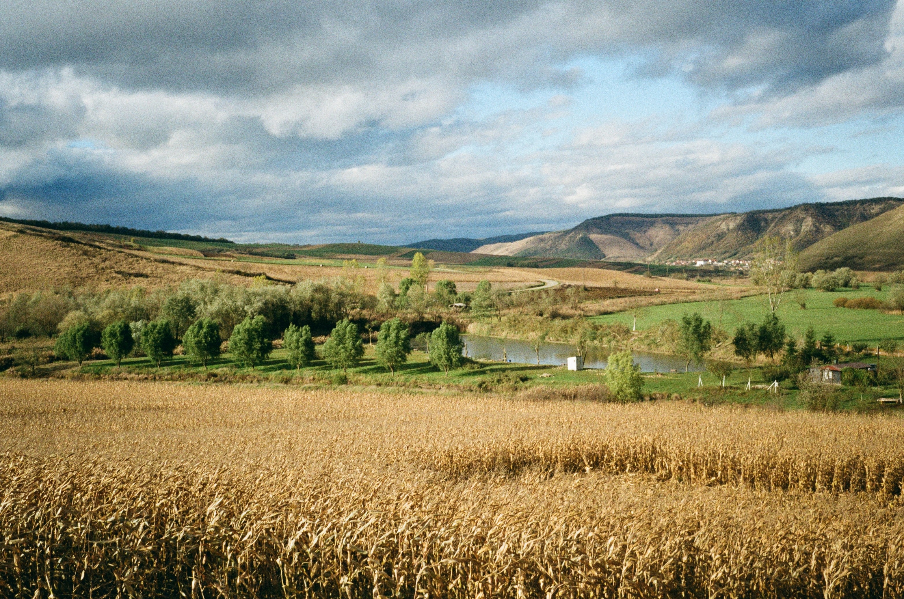 Photo by Regös Környei with Olympus Trip 35