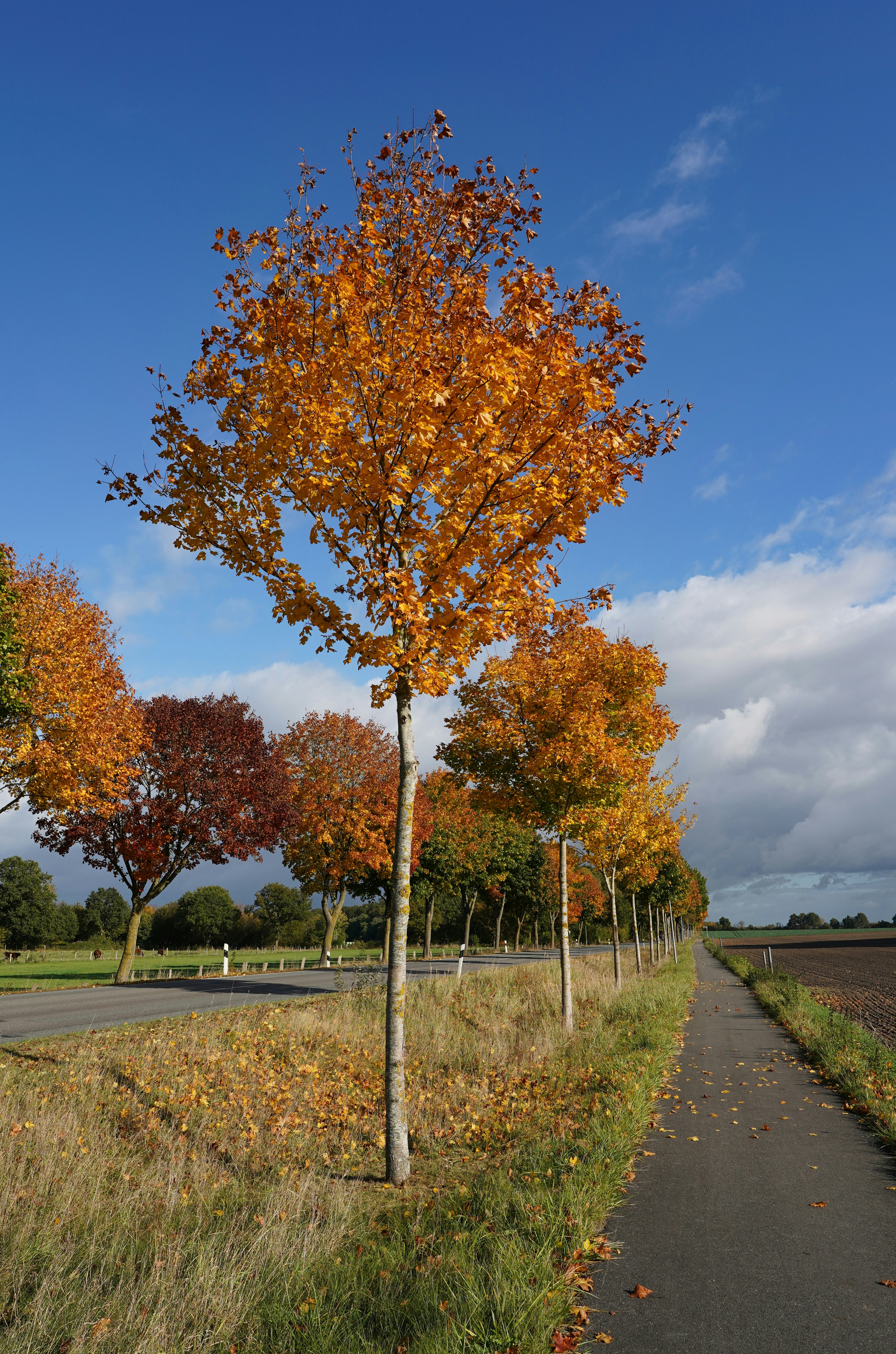 Photo by Wolfgang Weiser with Sony Alpha 7 III