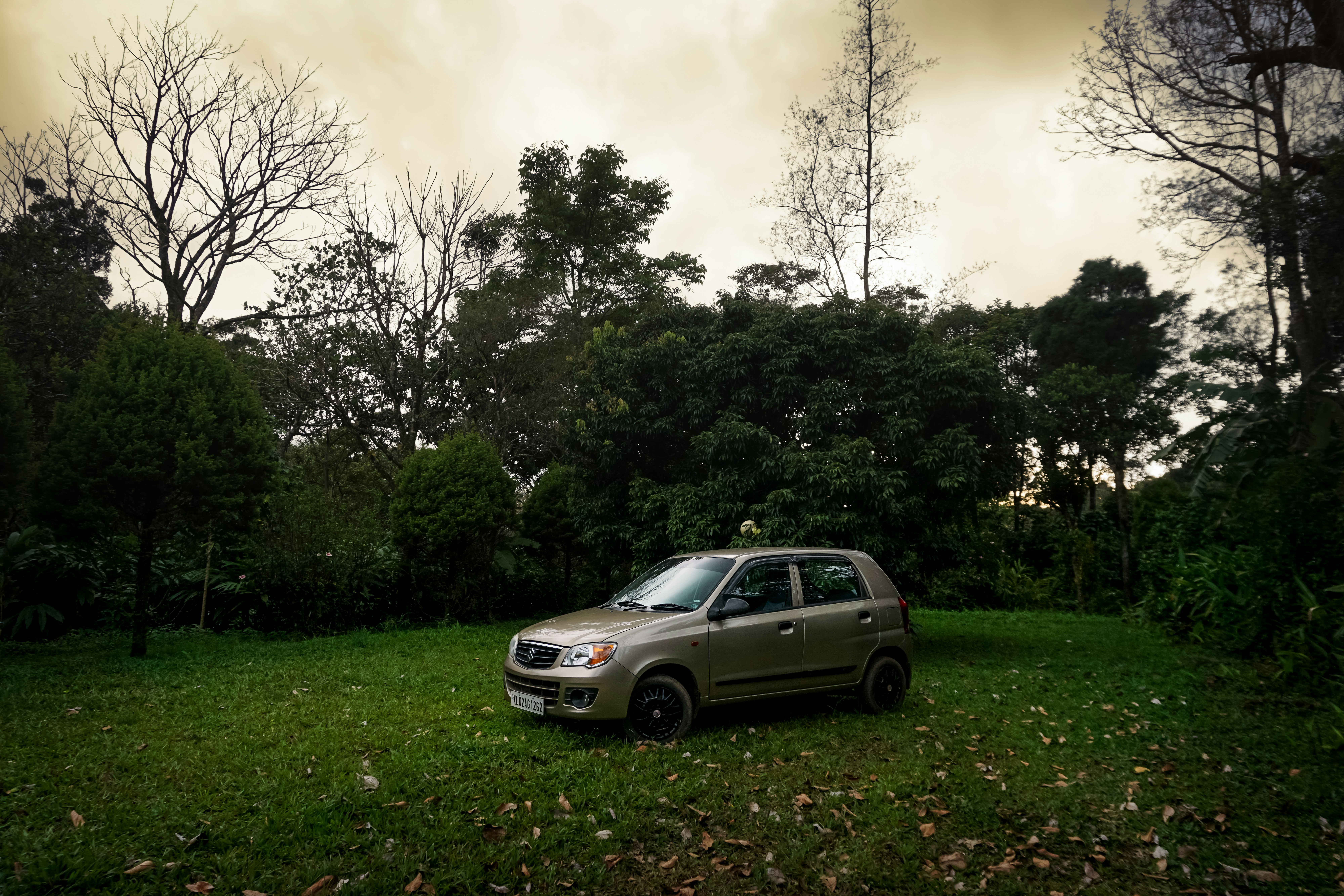 Compact car parked in a lush green clearing surrounded by trees under a moody sky.