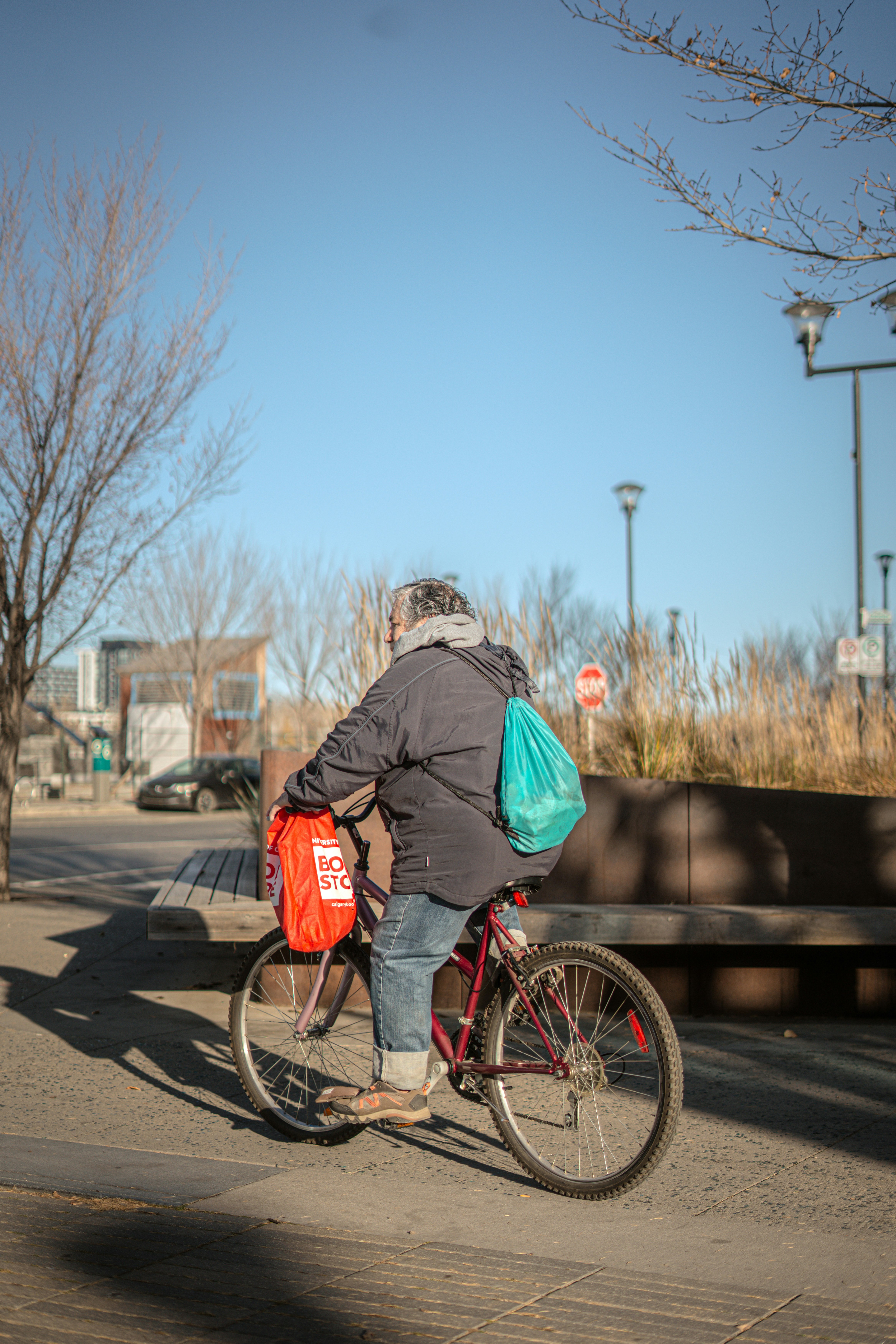 Urban Park Ride Through Winter Light: A Cyclist with Colorful Bags