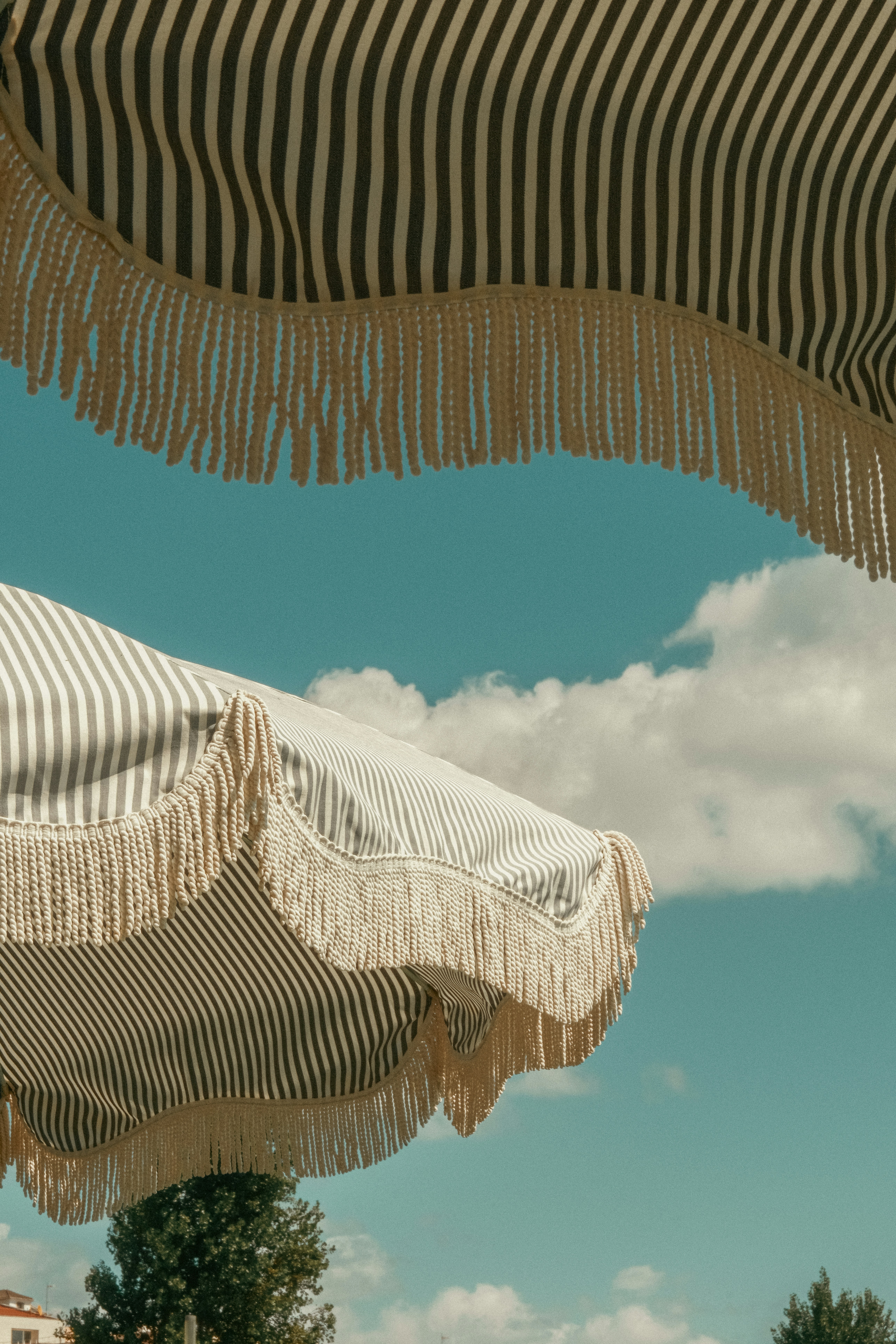 Shade and Serenity: A Summer Escape