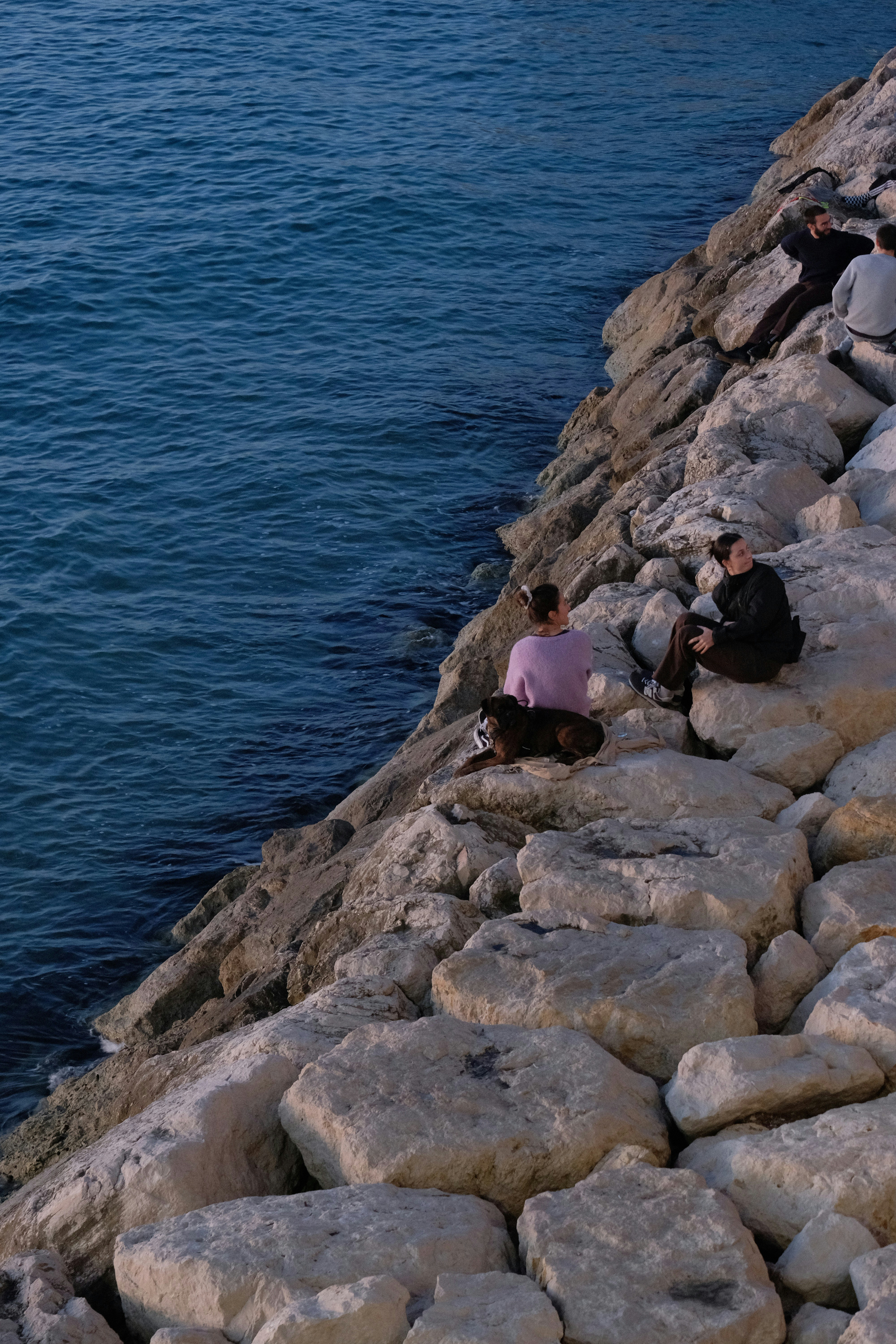 Stone Breakwater Rendezvous: Quiet Talks Along the Seaside Ridge