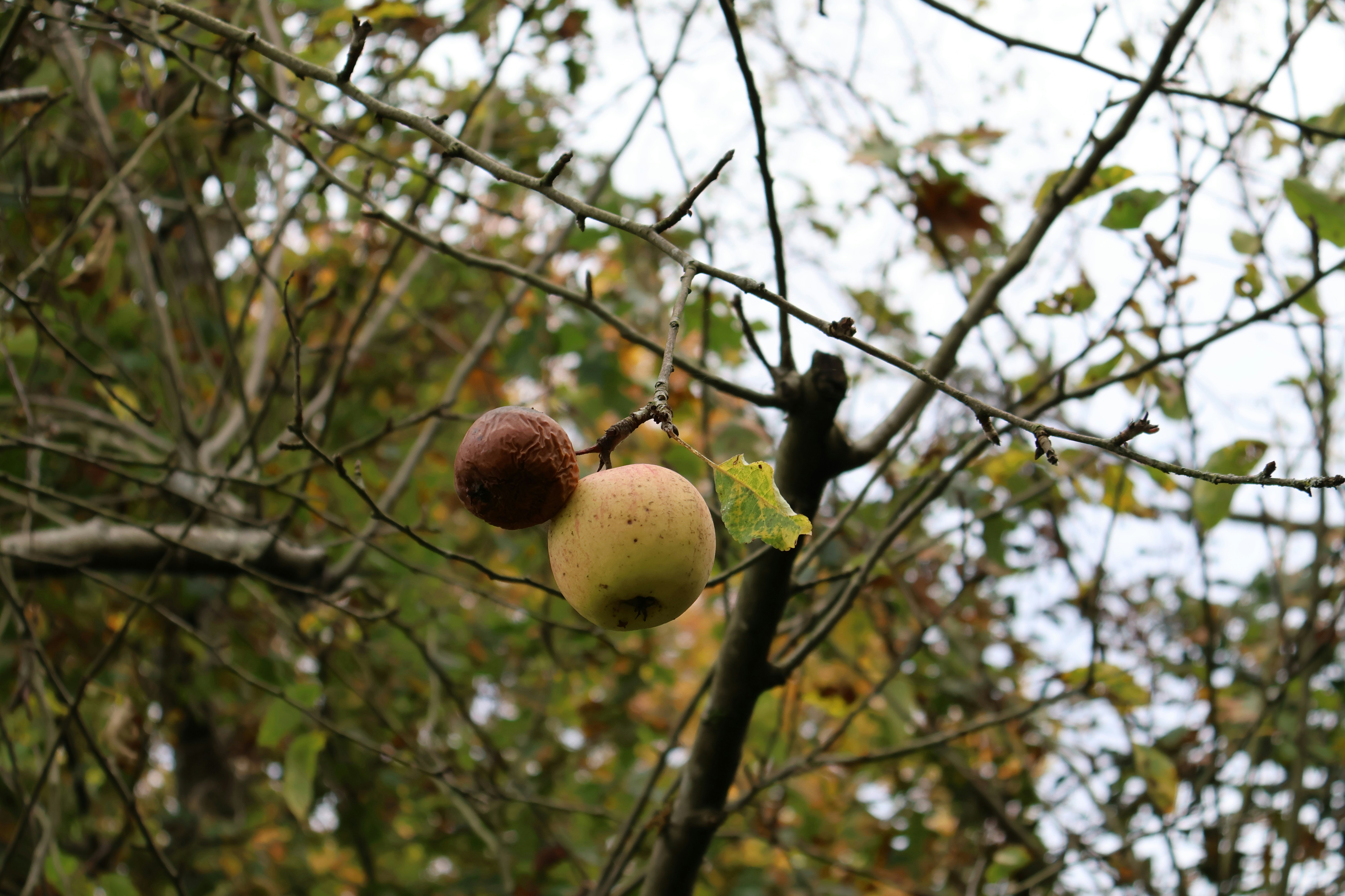 Photo by Tanya Barrow with Canon EOS R50