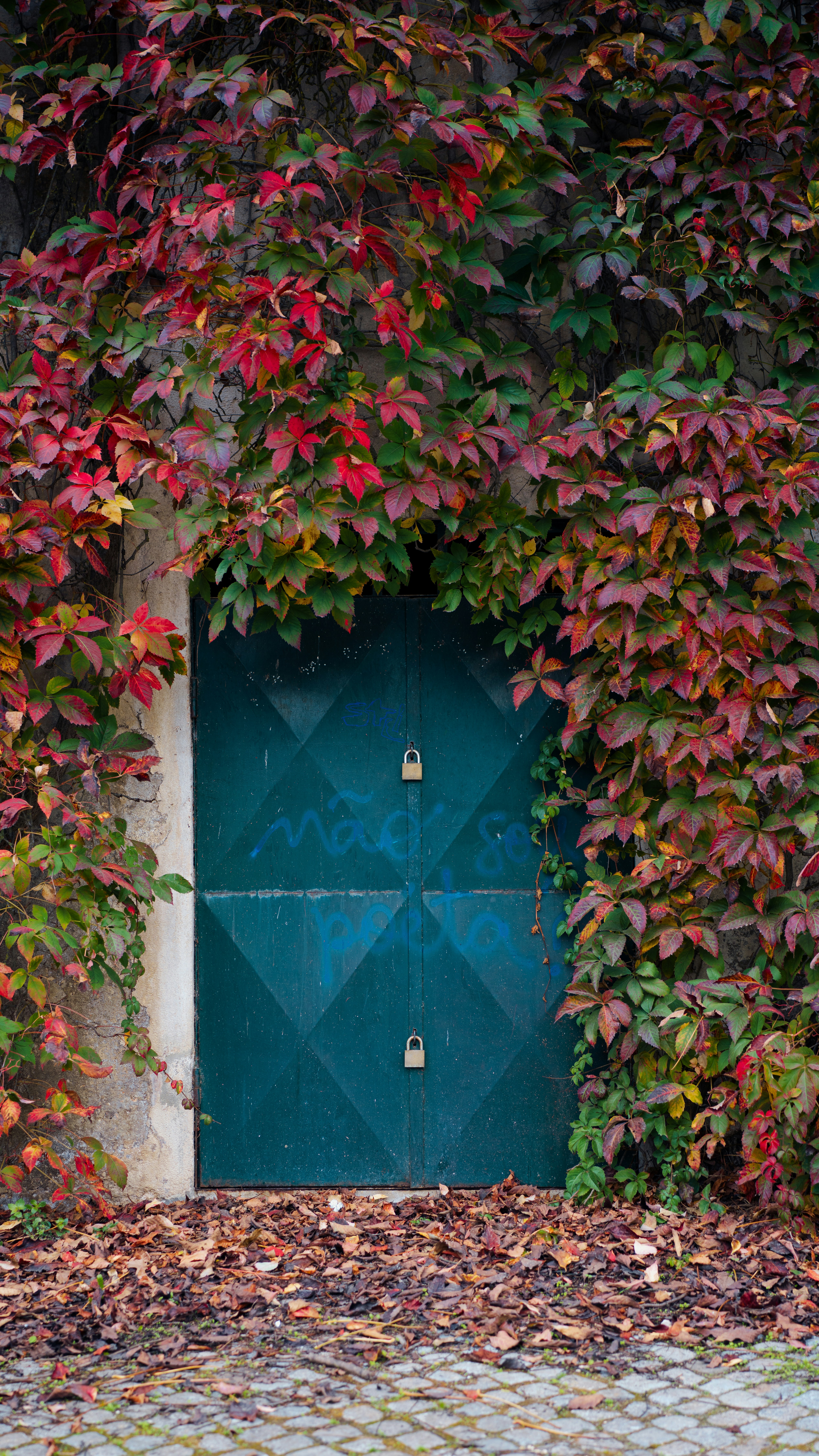 Sample photo from Hasselblad X2D II 100C