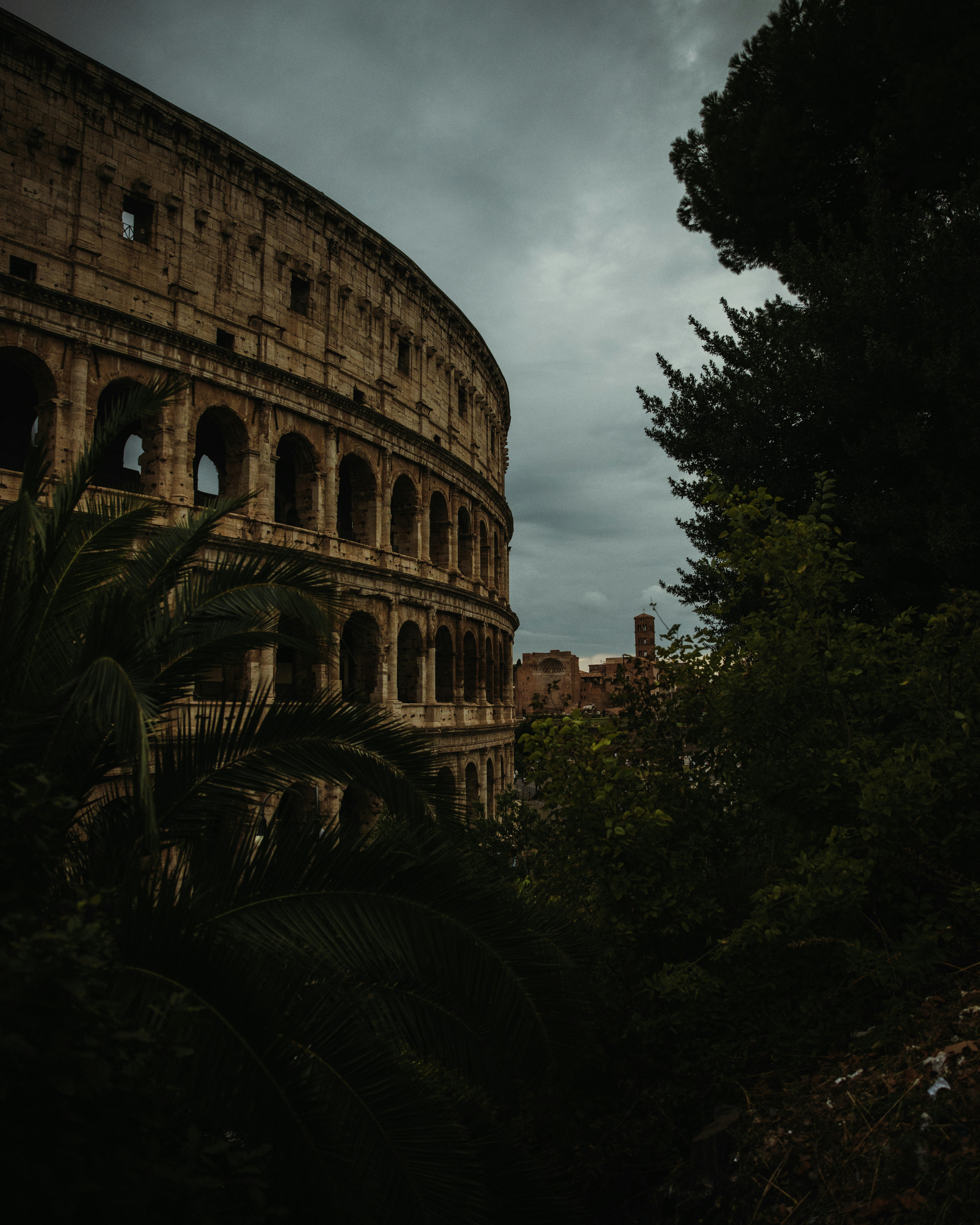 Dusk Over the Colosseum: Arches Veiled by Dense Foliage