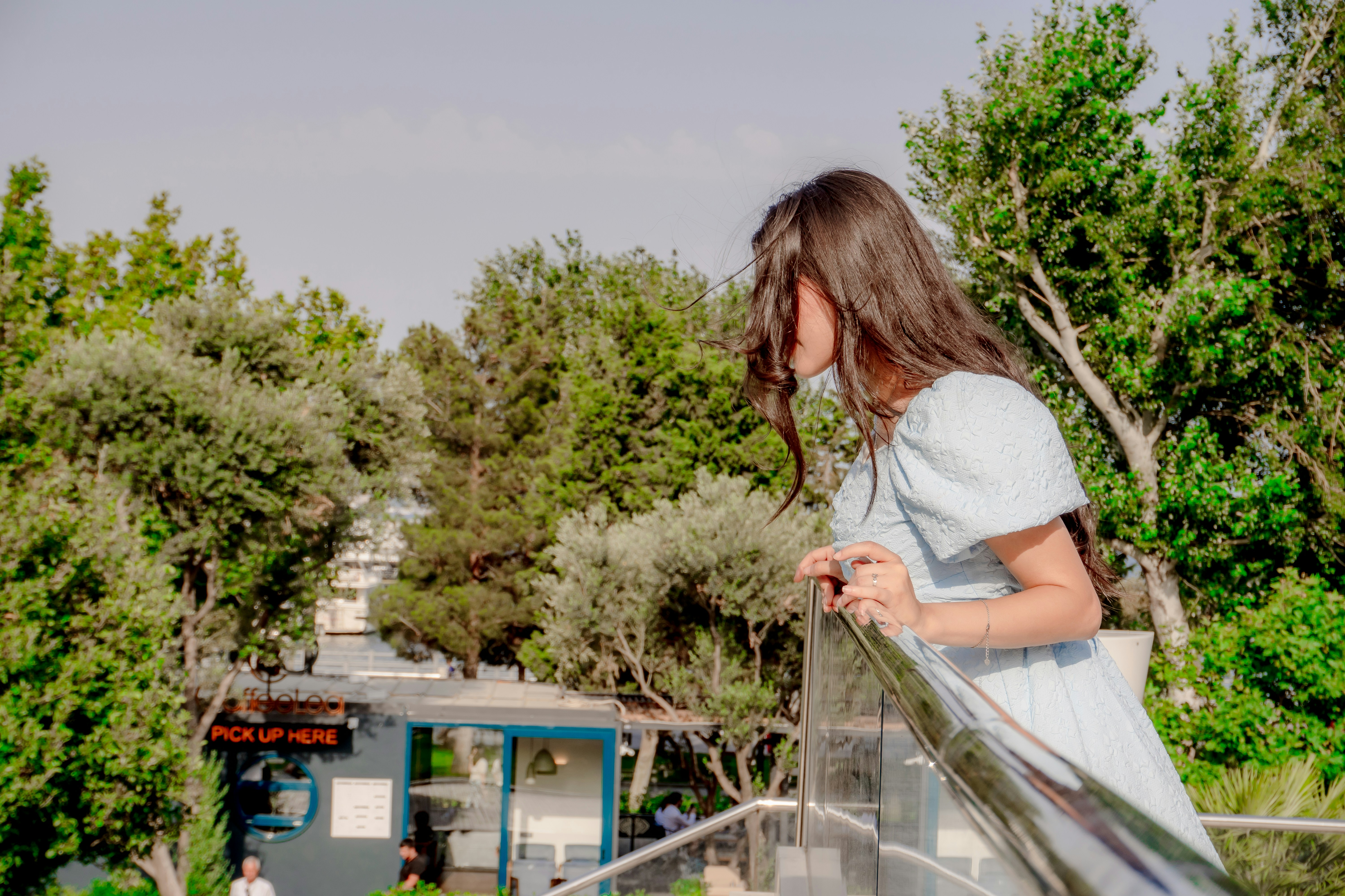 Railing Reverie in a Sunlit Park