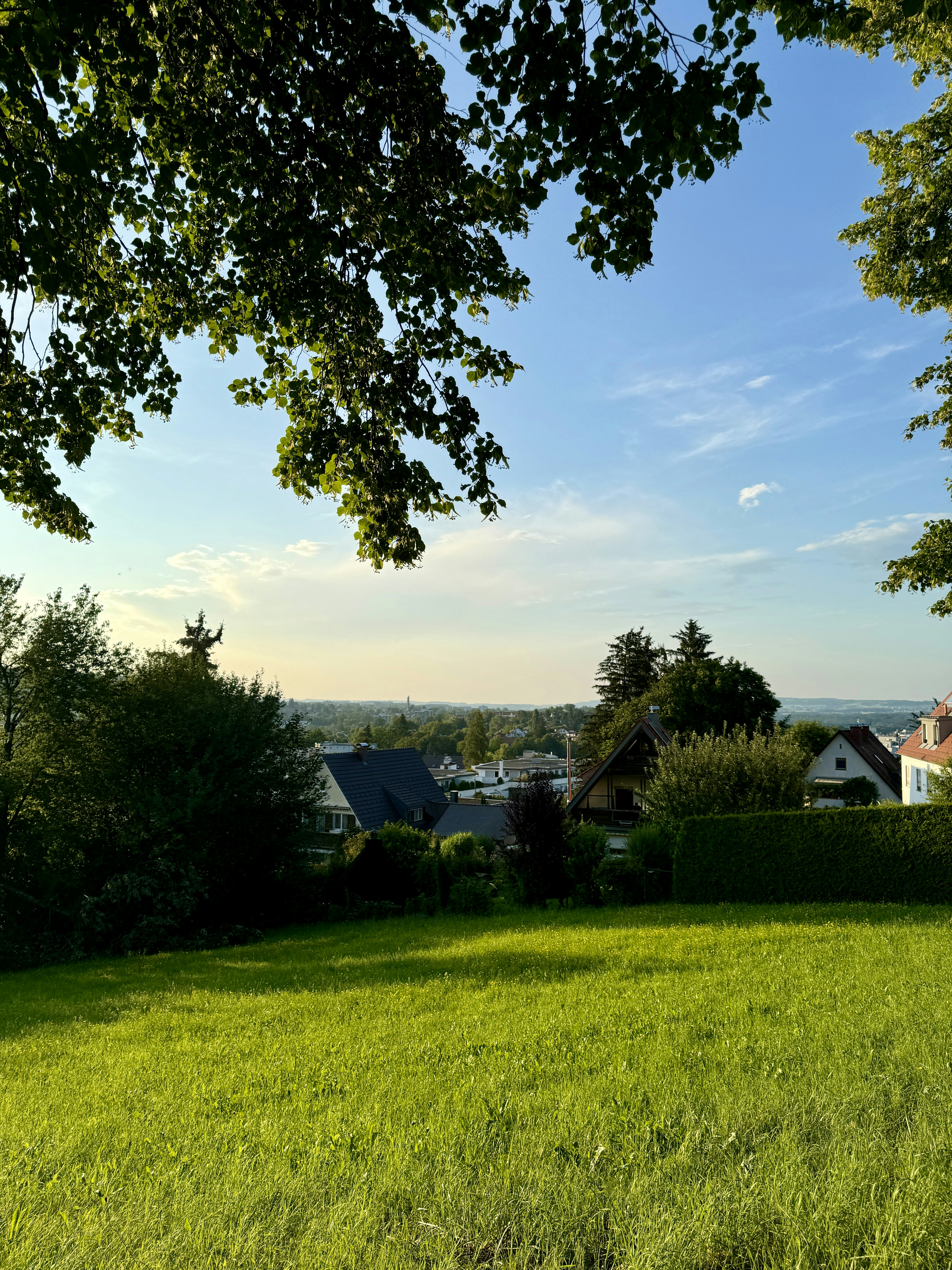 Photo by Dan Cristian with Apple iPhone 15 Pro