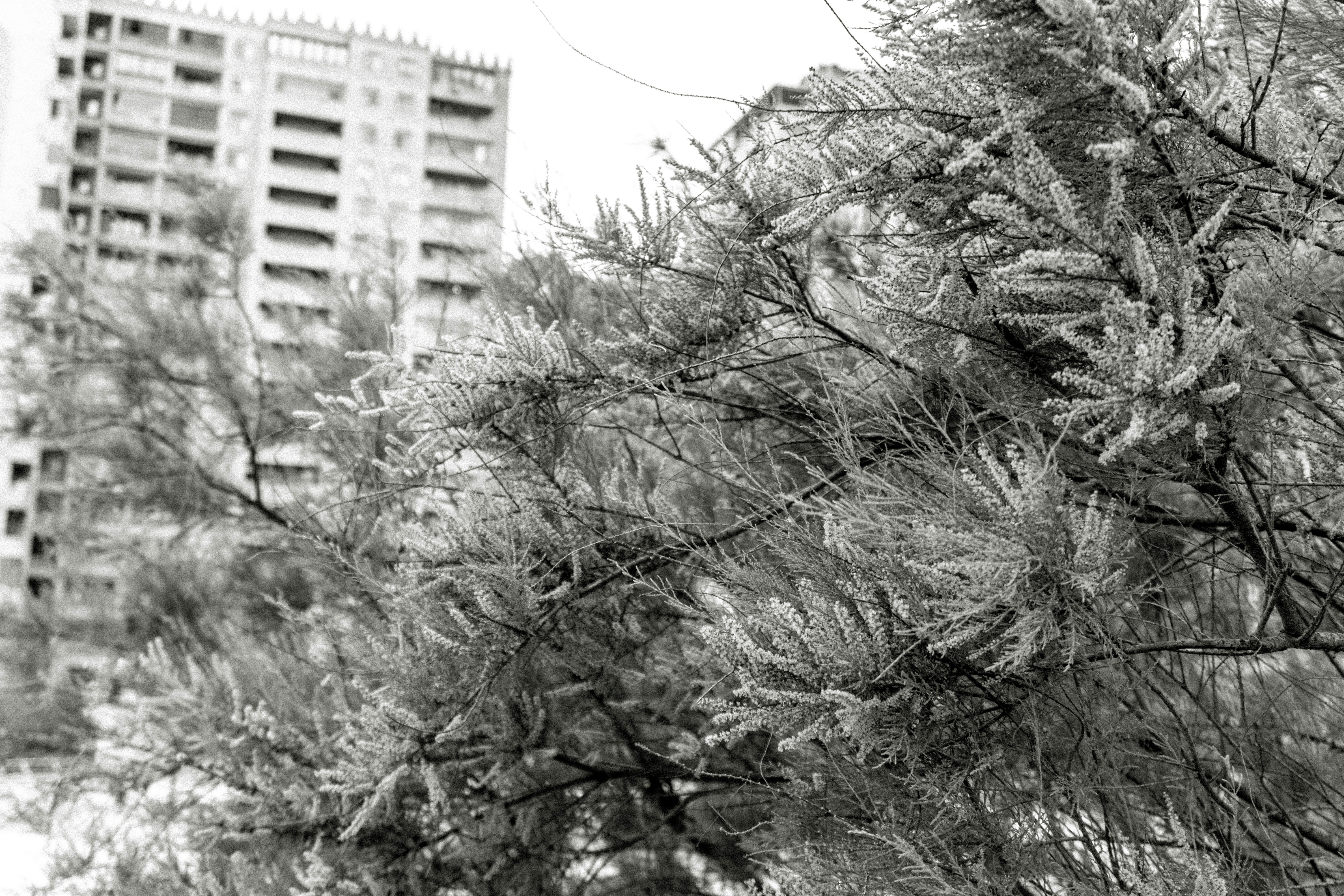 Photo by Zulfugar Karimov with Sony Alpha 6400