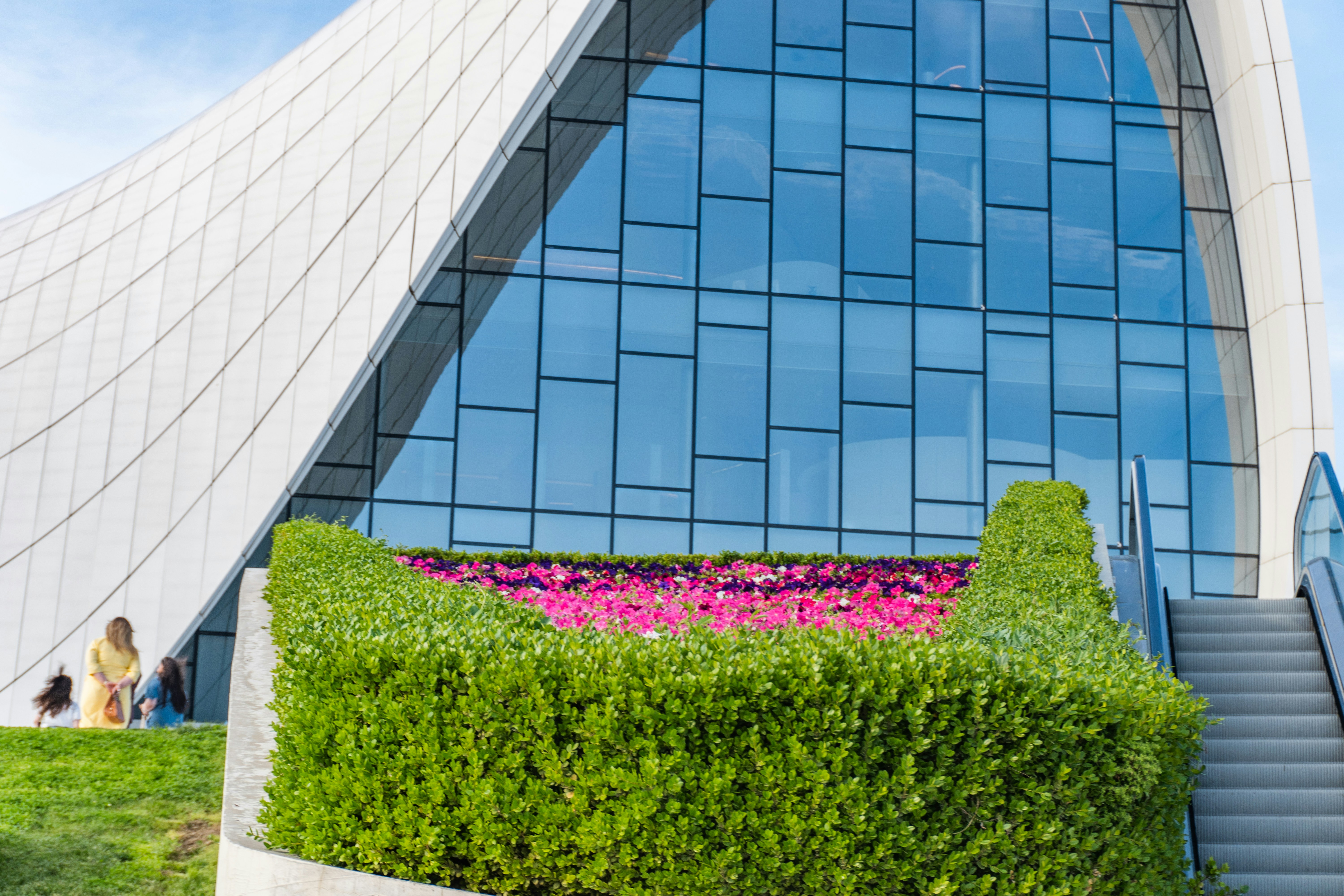 Rosy Border Meets Glass Facade: A Modernist Garden in Focus