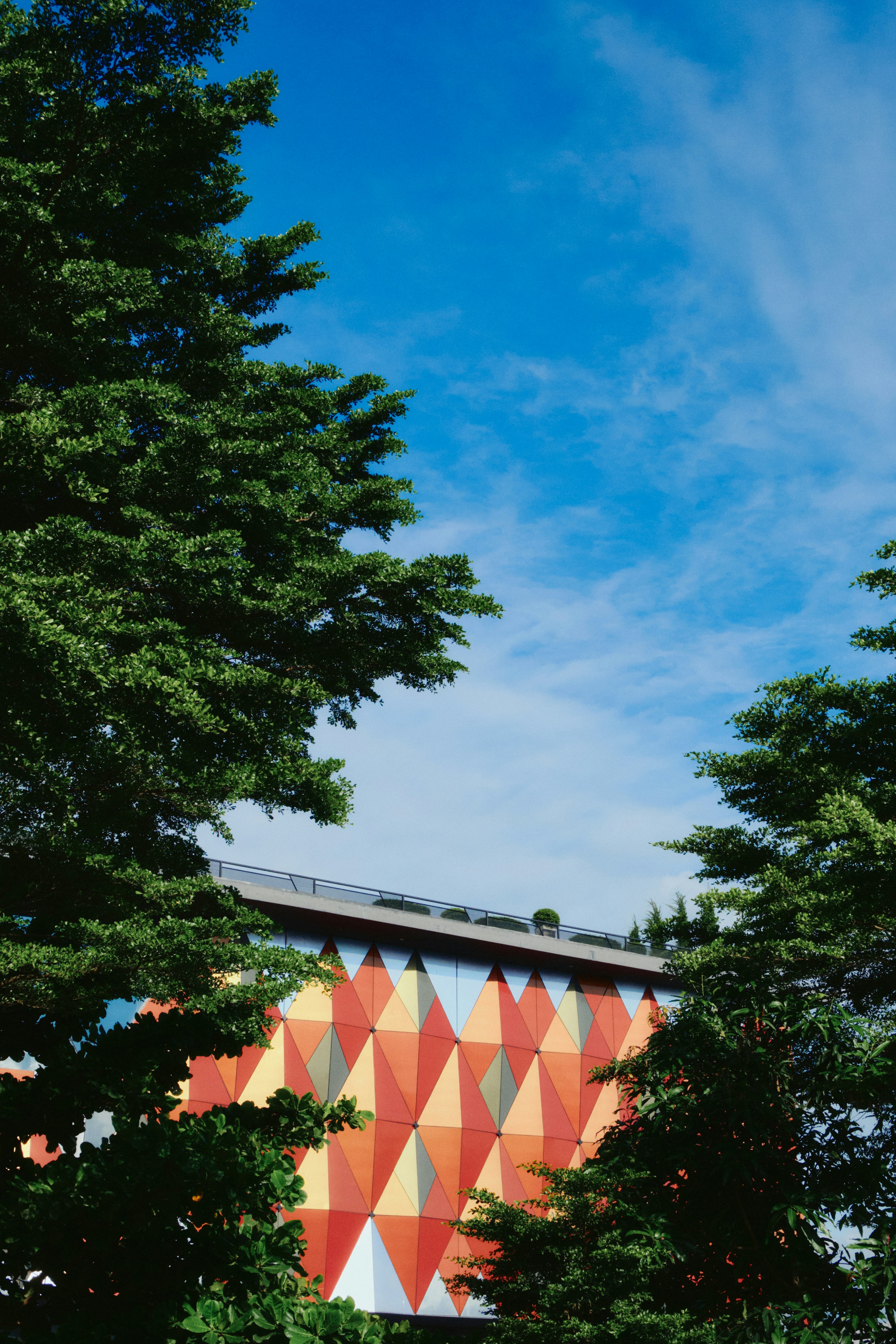 Triangles on the Bridge: A Wall of Color Framed by Green Canopies