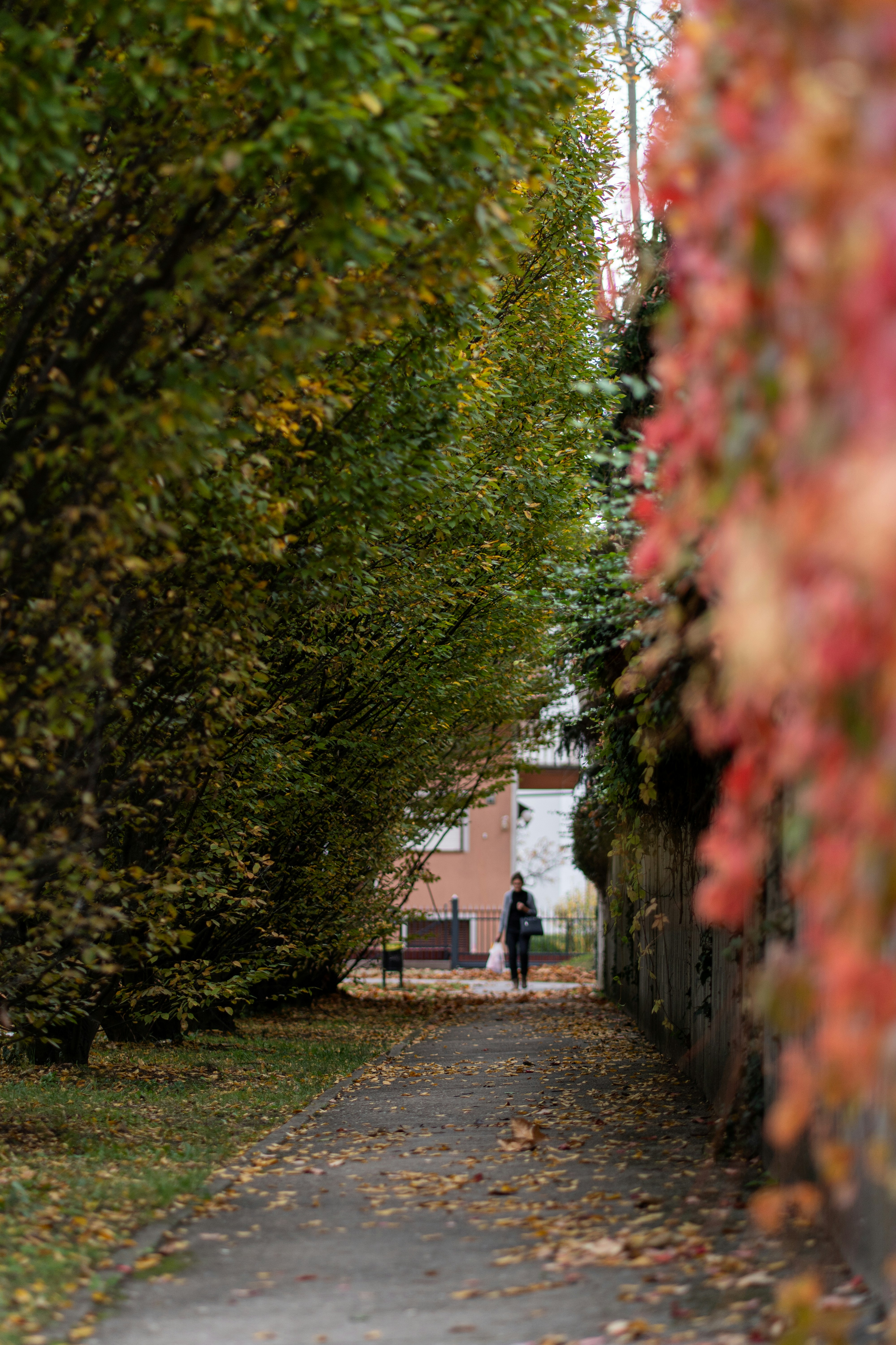 Kat von Wood (@kat_von_wood) | Communauté photos Unsplash