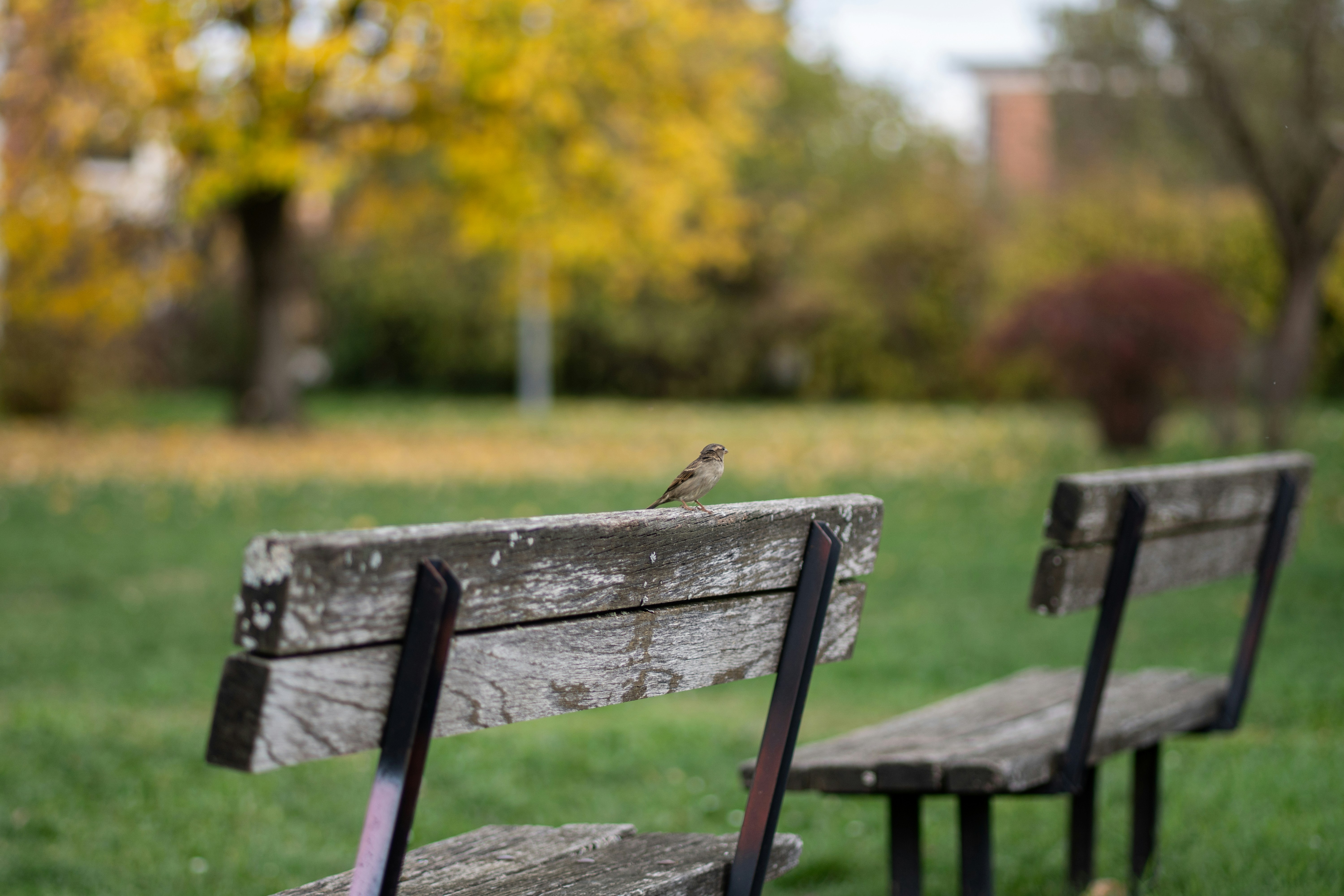 Kat von Wood (@kat_von_wood) | Communauté photos Unsplash