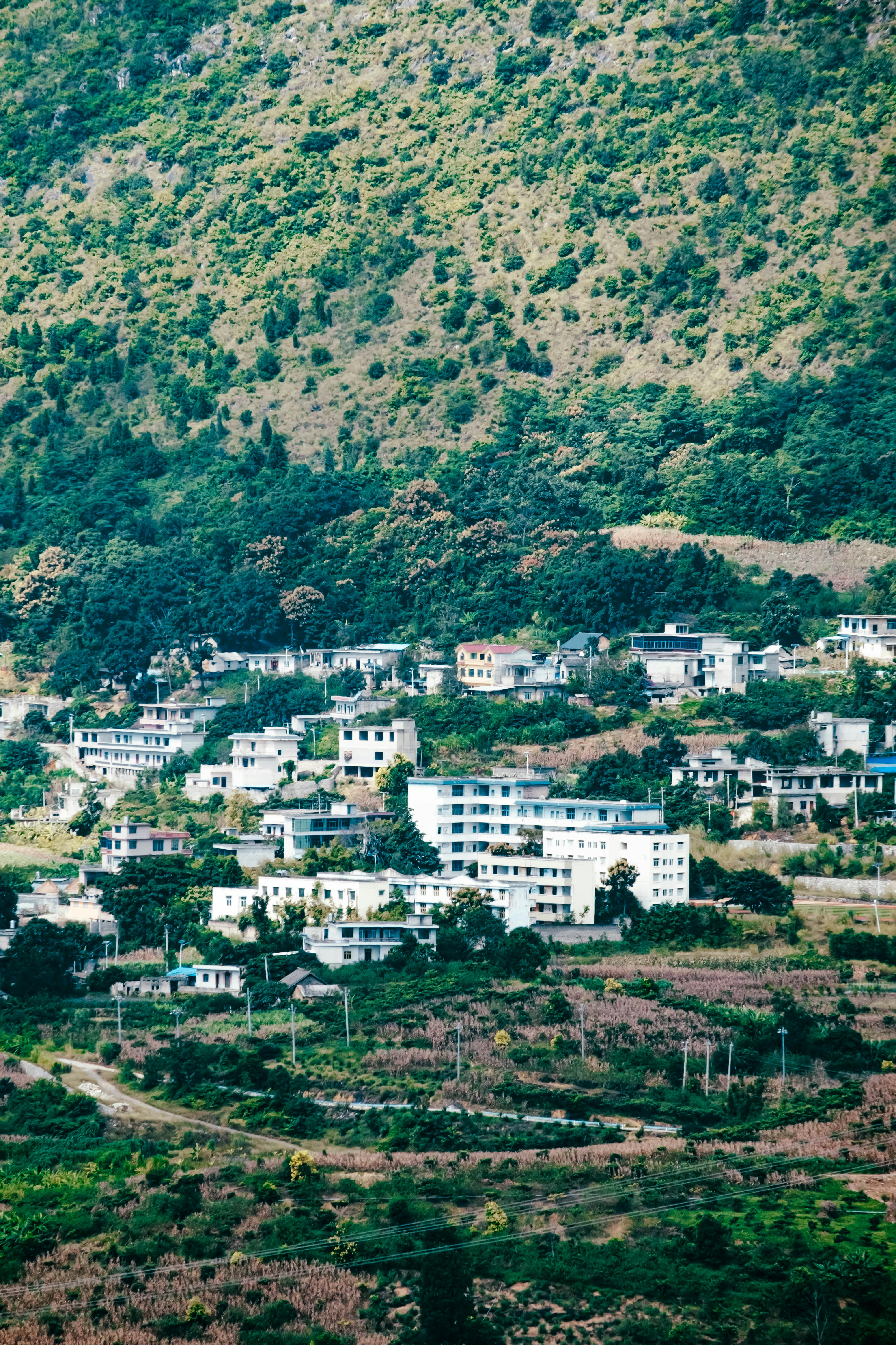 A scenic view of a hillside village, showcasing a blend of modern and traditional architecture among lush greenery. The landscape reveals a tranquil coexistence with nature.
