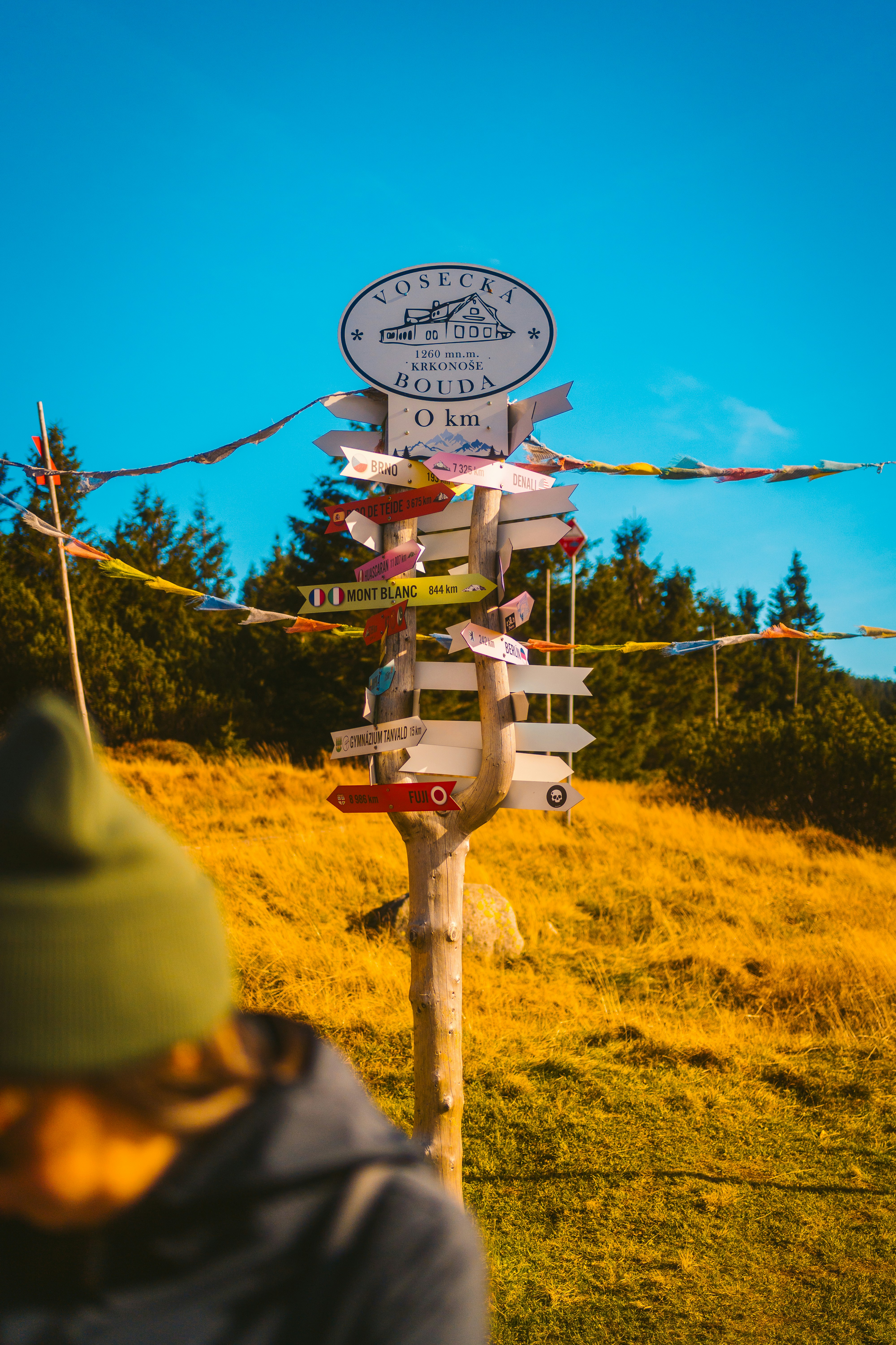 The Compass Post: Colorful Waymarkers on a Sunlit Hilltop Meadow