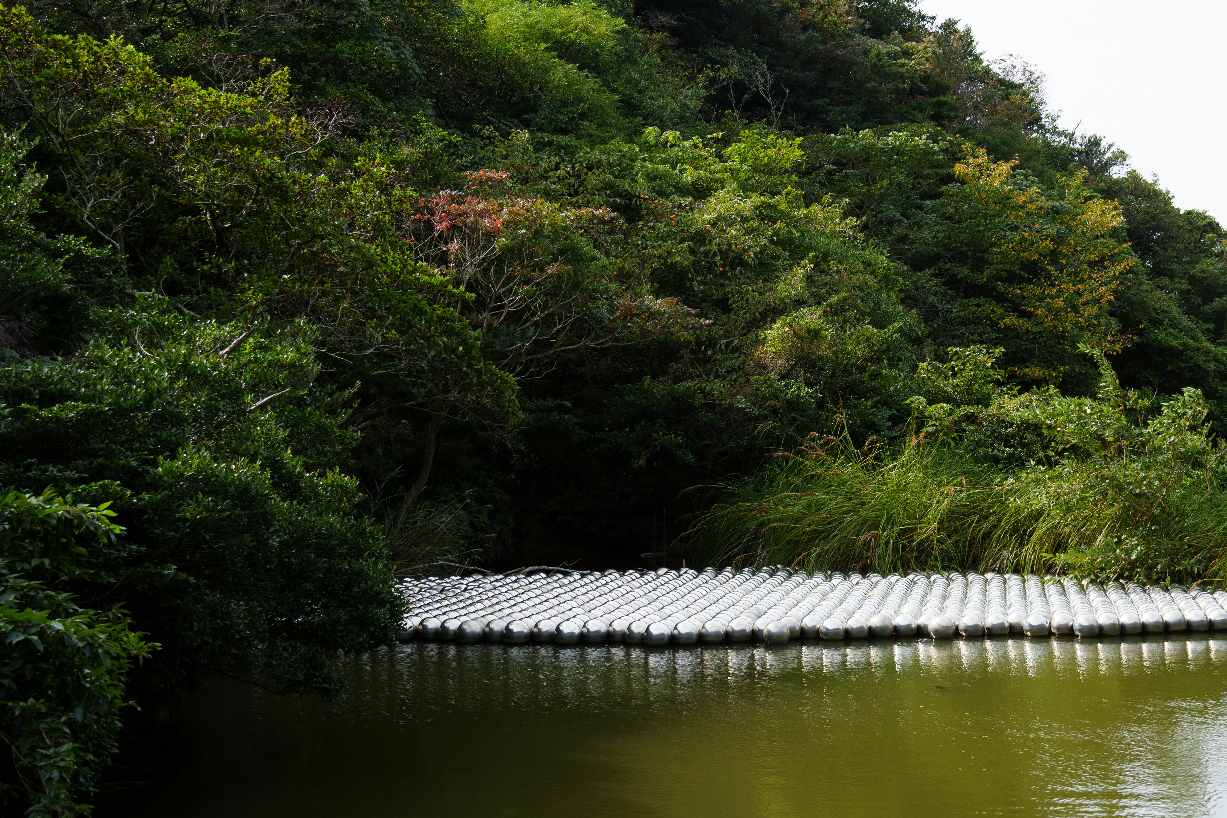 Floating walkway on a calm lake surrounded by trees.