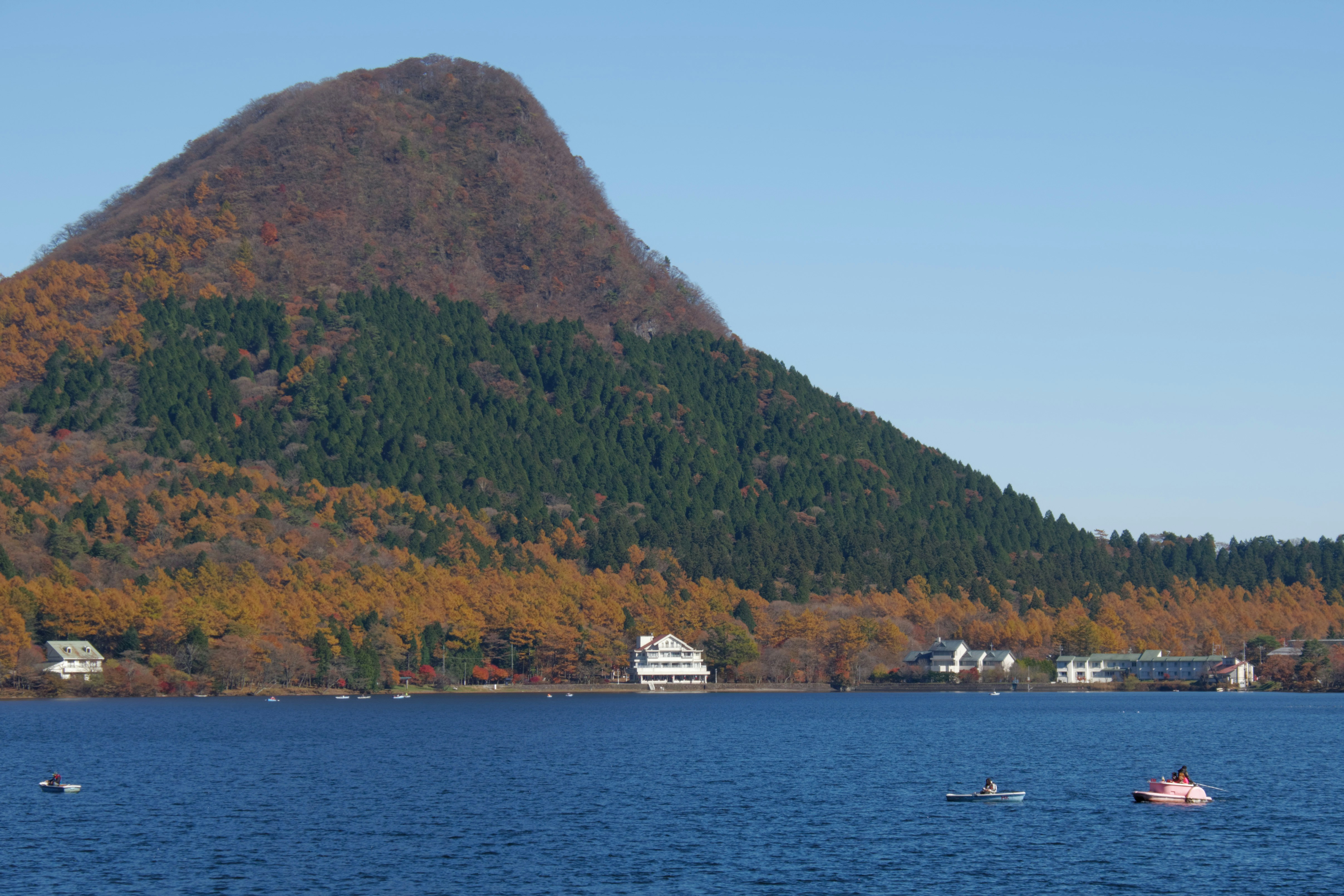 Autumn Crest Over a Tranquil Lake Beneath a Pine-Dotted Mountain