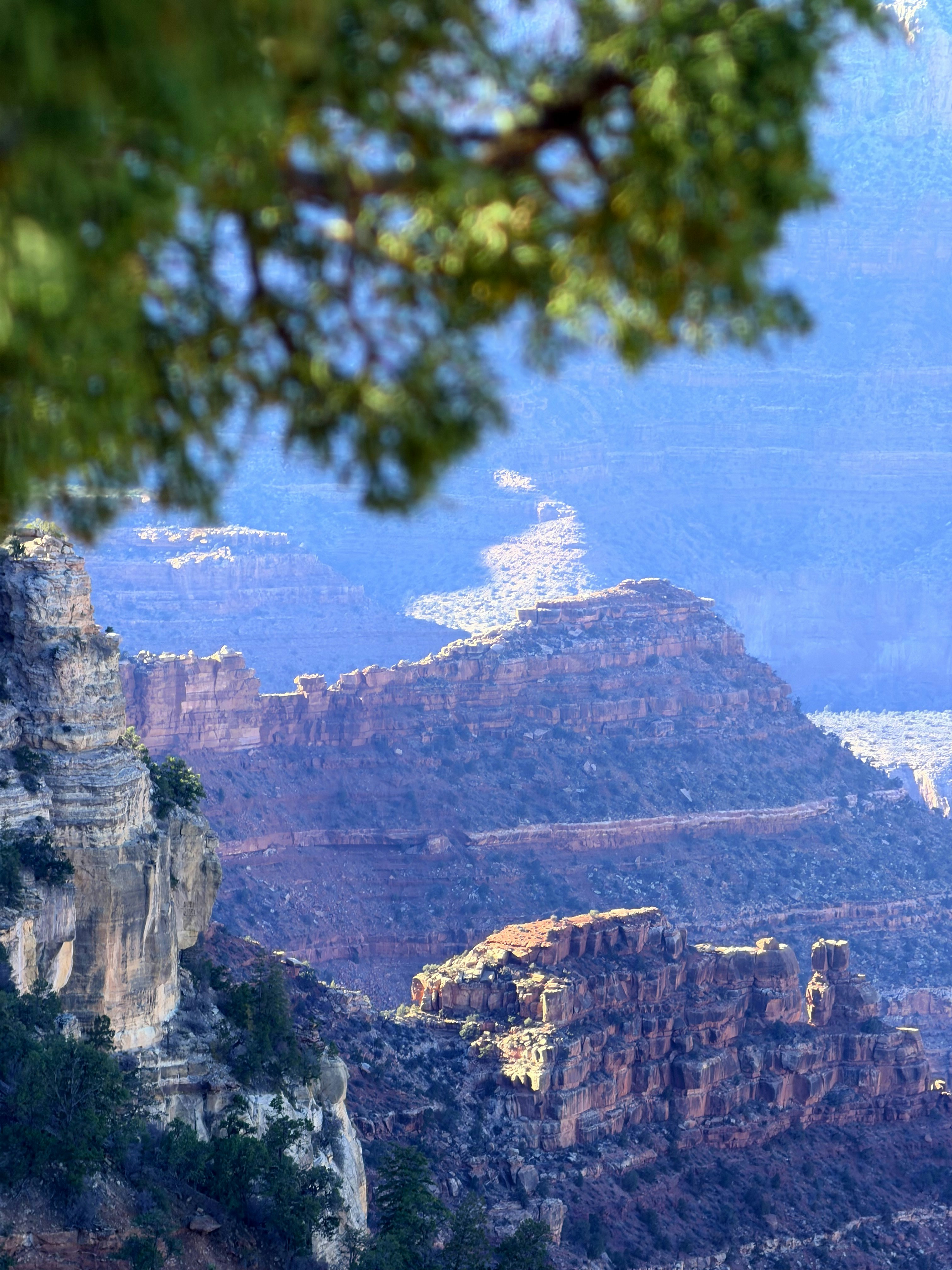 Azure Steps: Layered Canyon Ridges Framed by Dappled Foliage