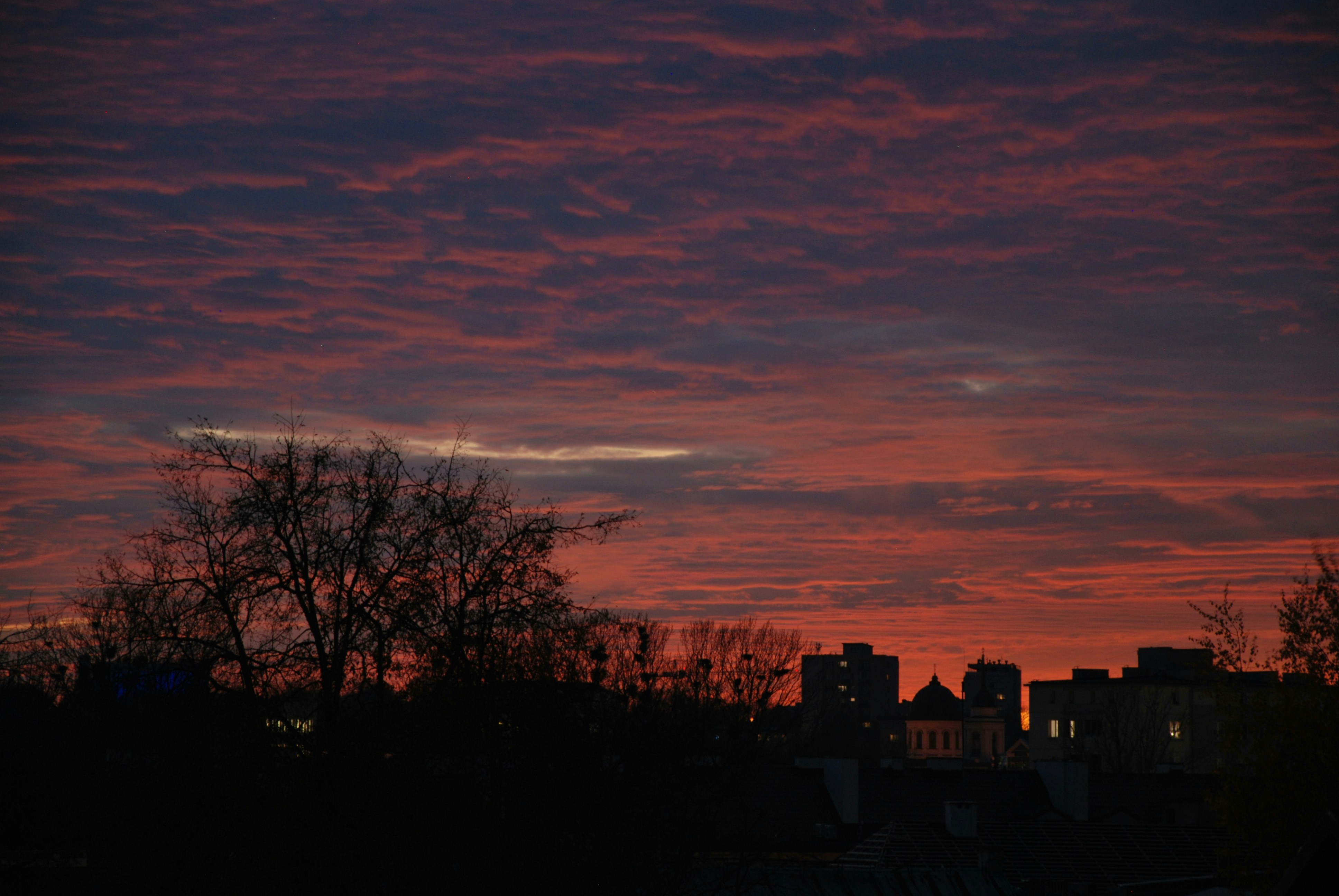 Ember Horizon: Silhouettes Converge at Dusk