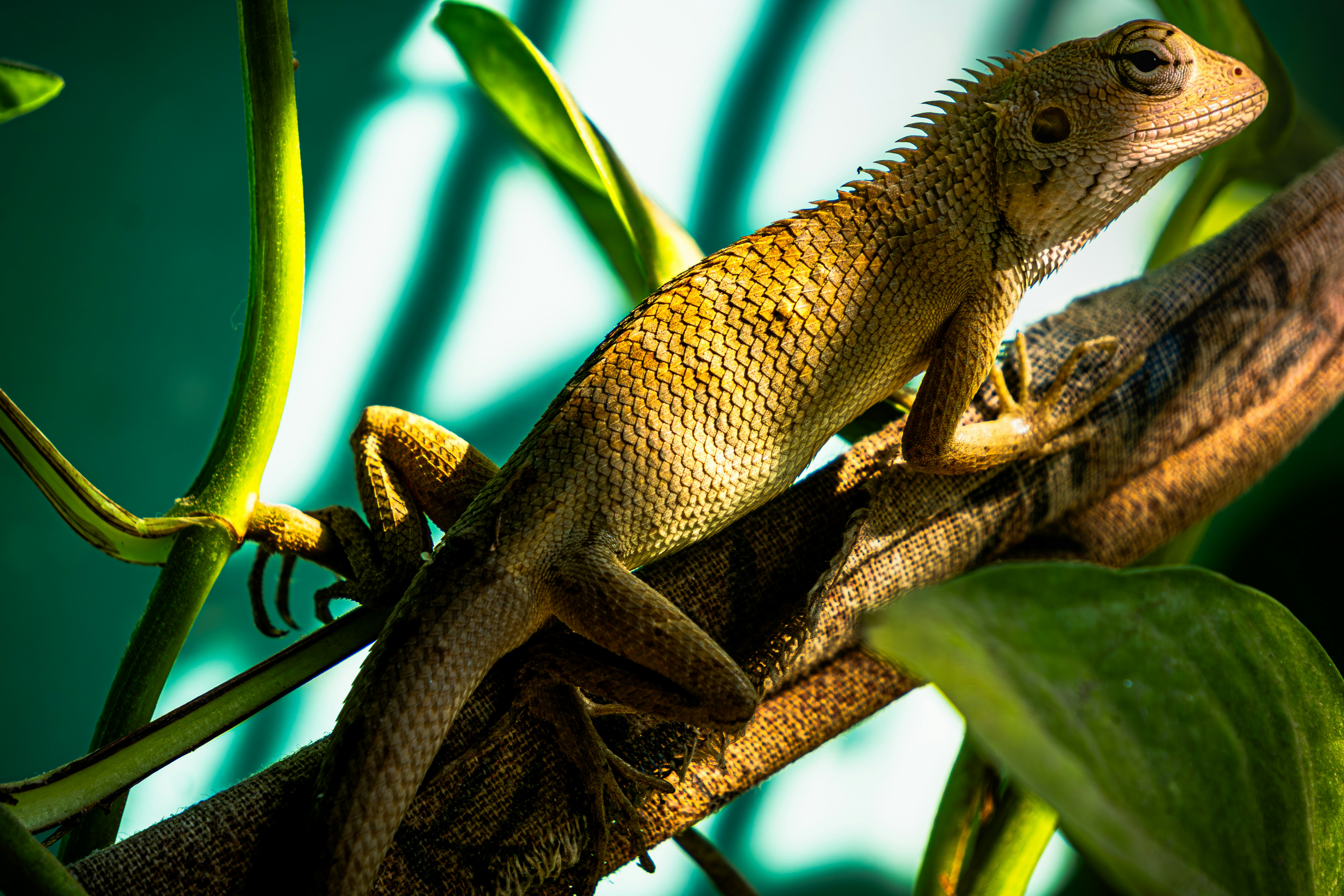 Photo by Ritik Mathur with Sony Alpha 6100