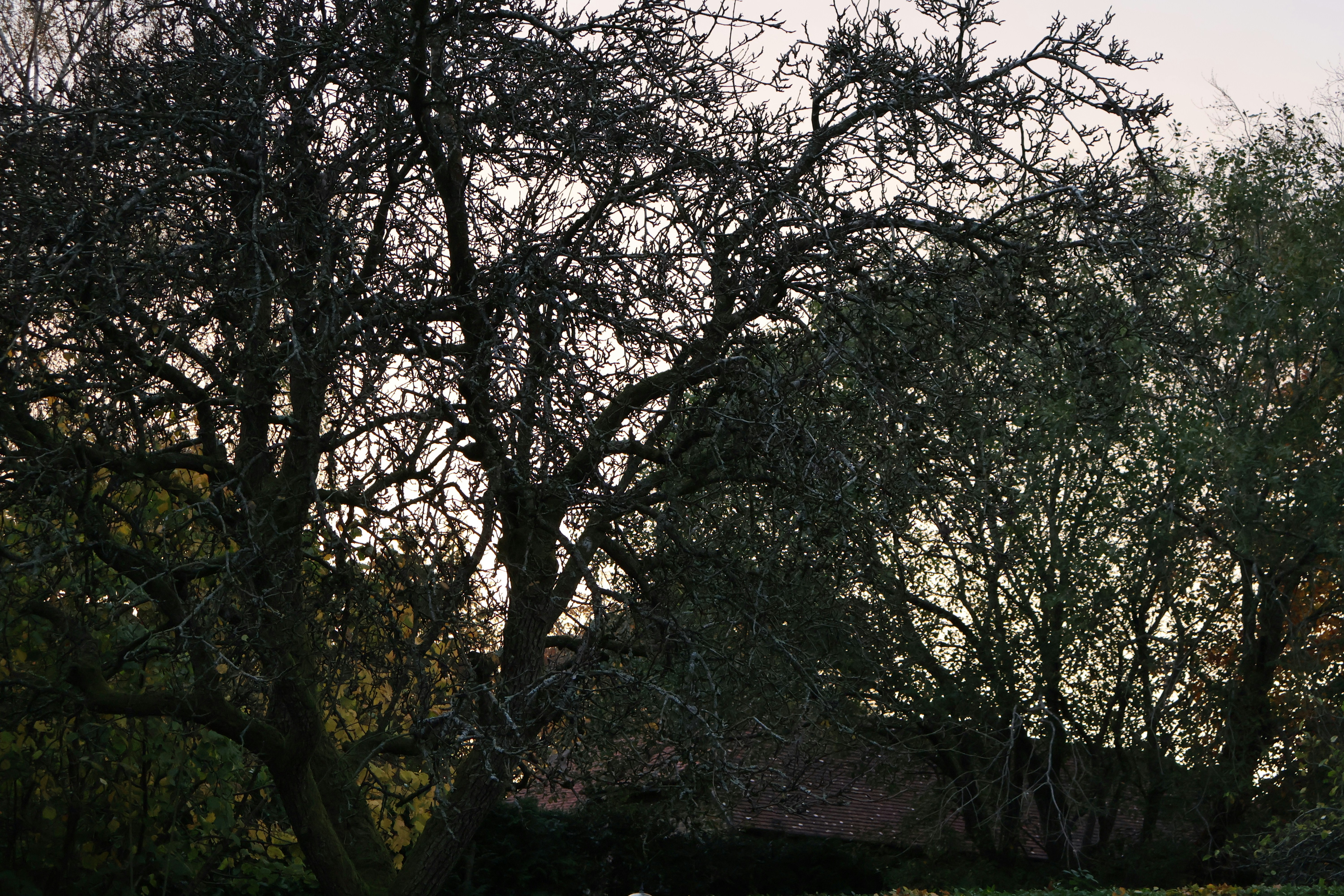 Photo by Tanya Barrow with Canon EOS R50