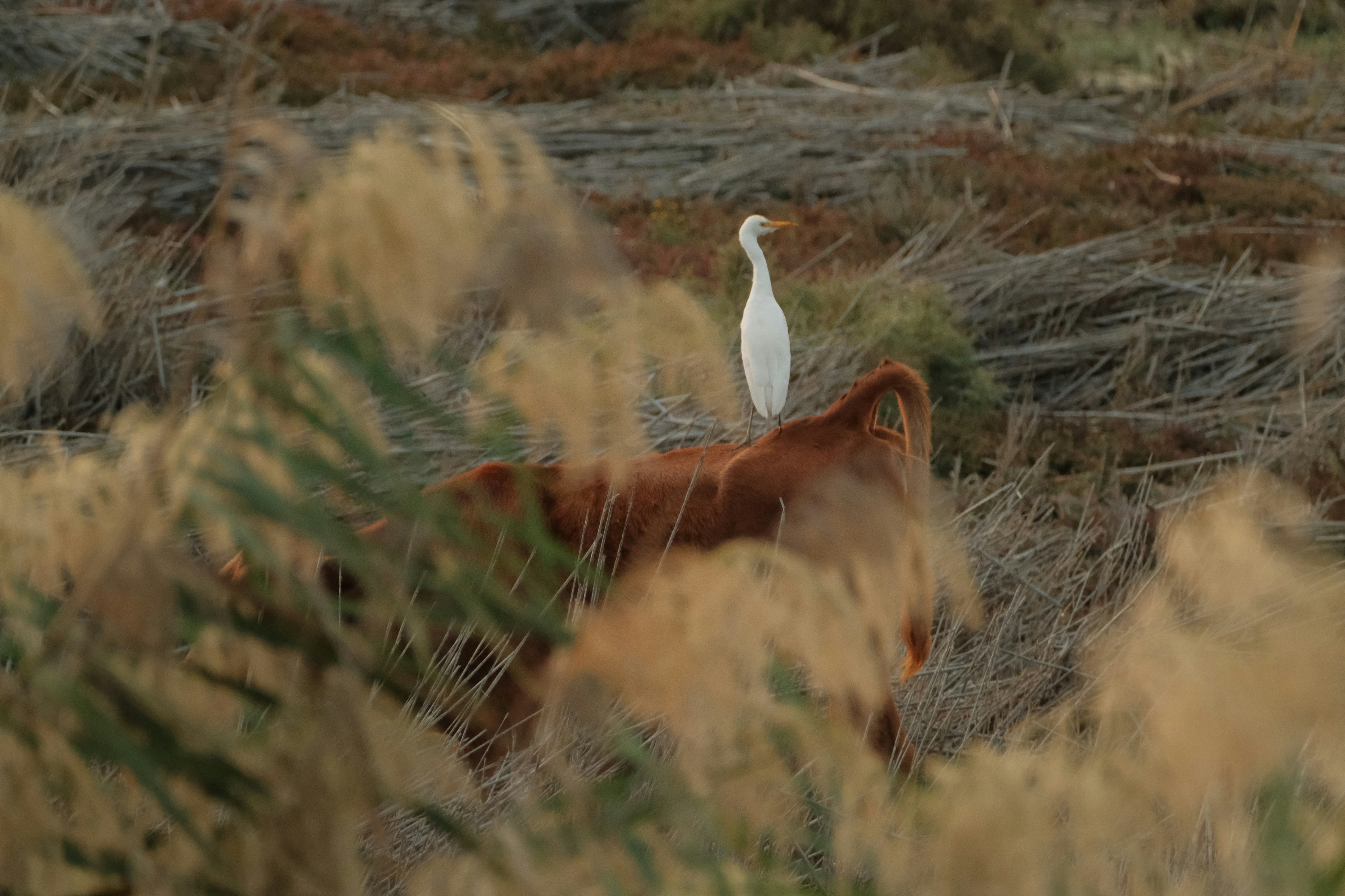 Photo by Roman Kravtsov with Fujifilm X-T30 II