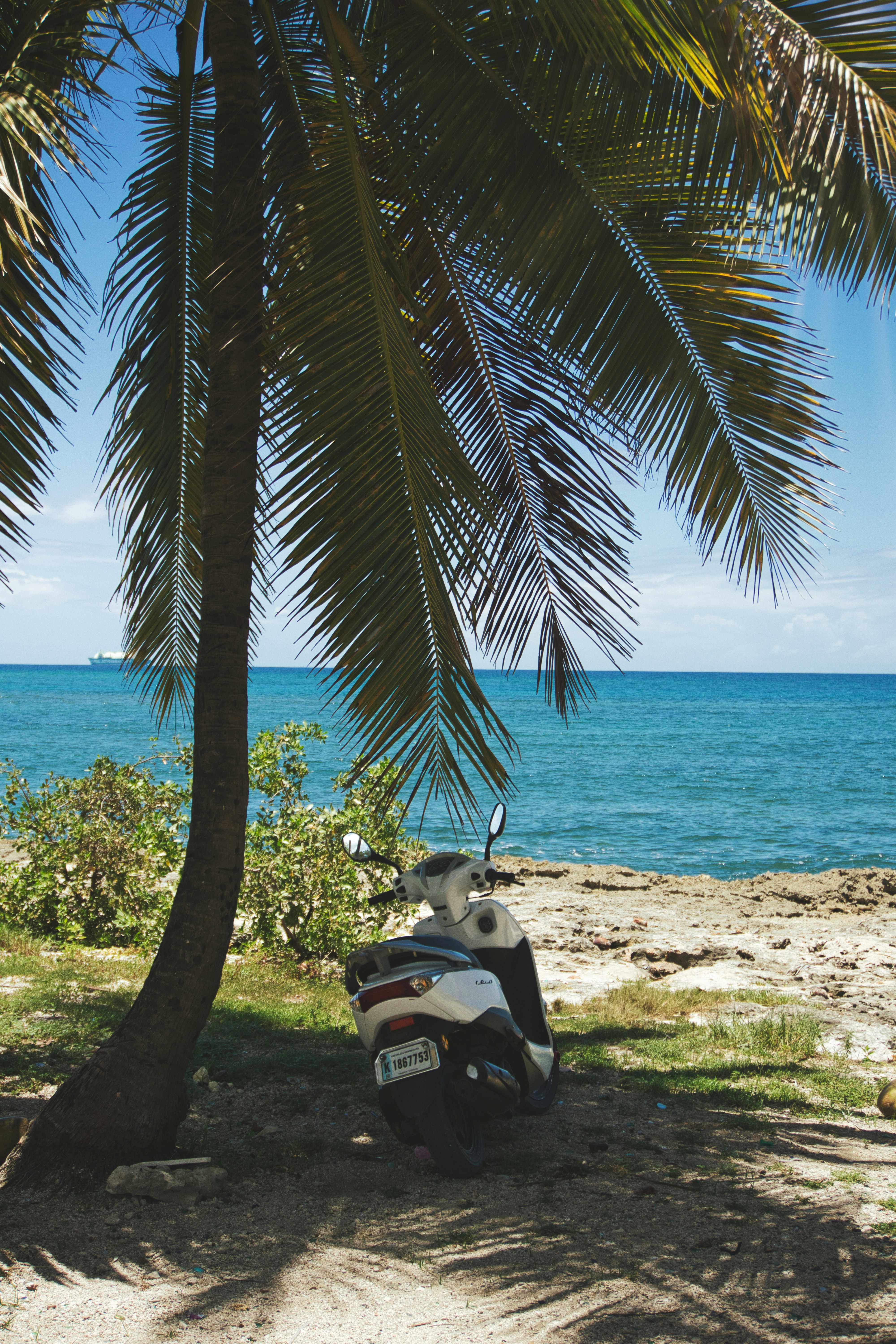 Photo by Sergio Aguirre with Sony Alpha 6000