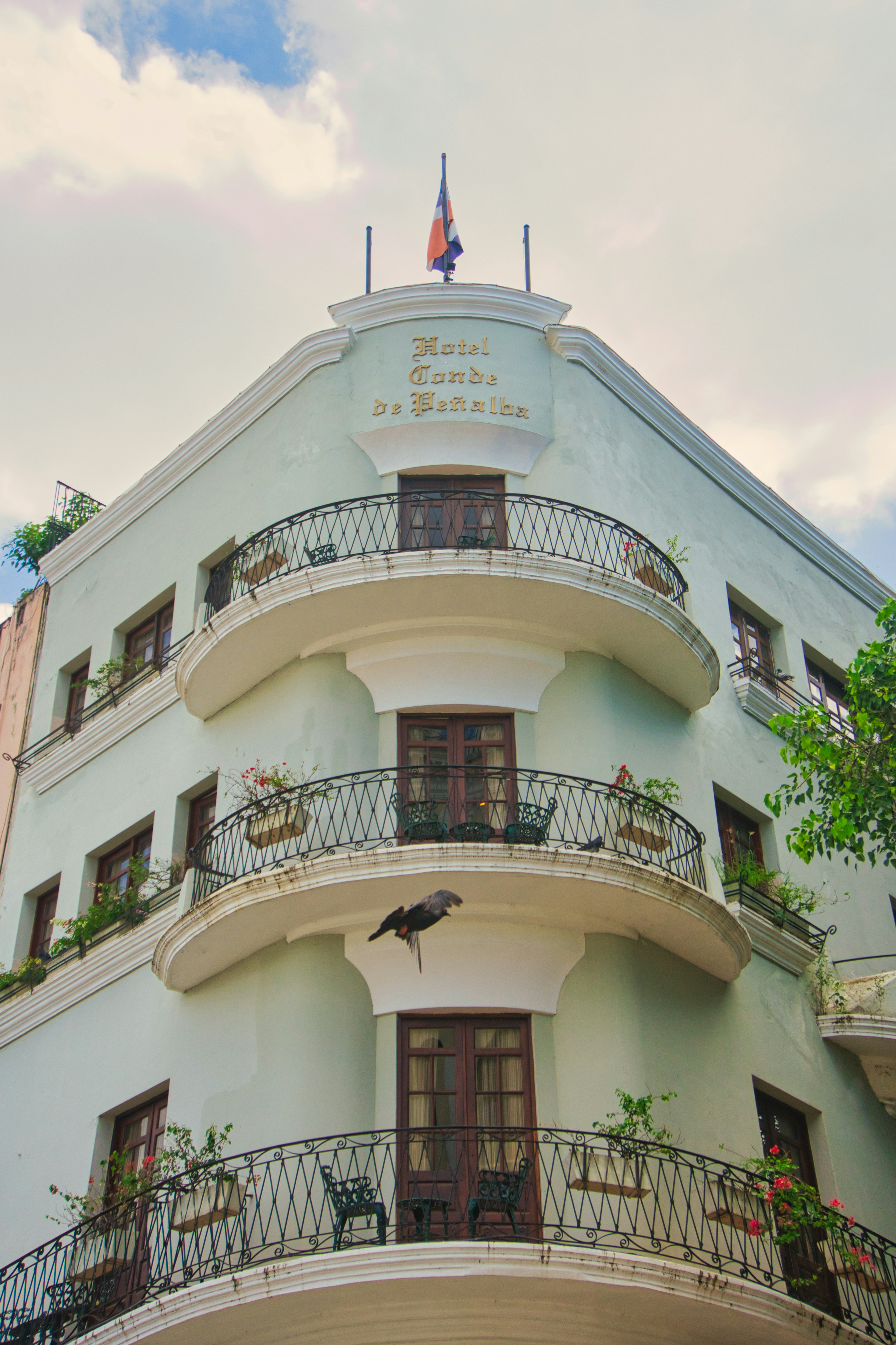 Winged Pause on a Curved Balcony of a Pastel Hotel