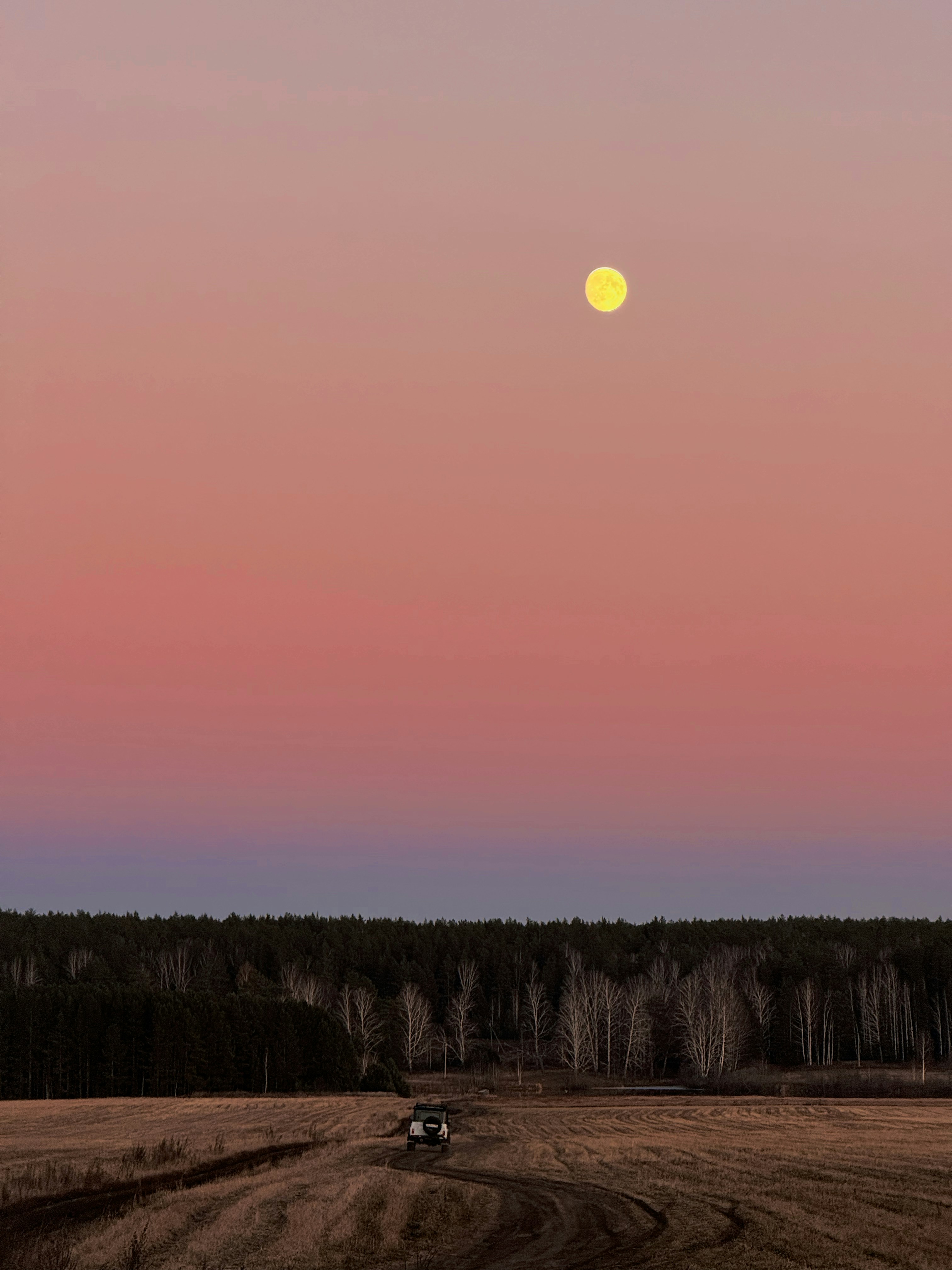 Yellow moon over a field and forest at sunset photo – Free Forest Image ...