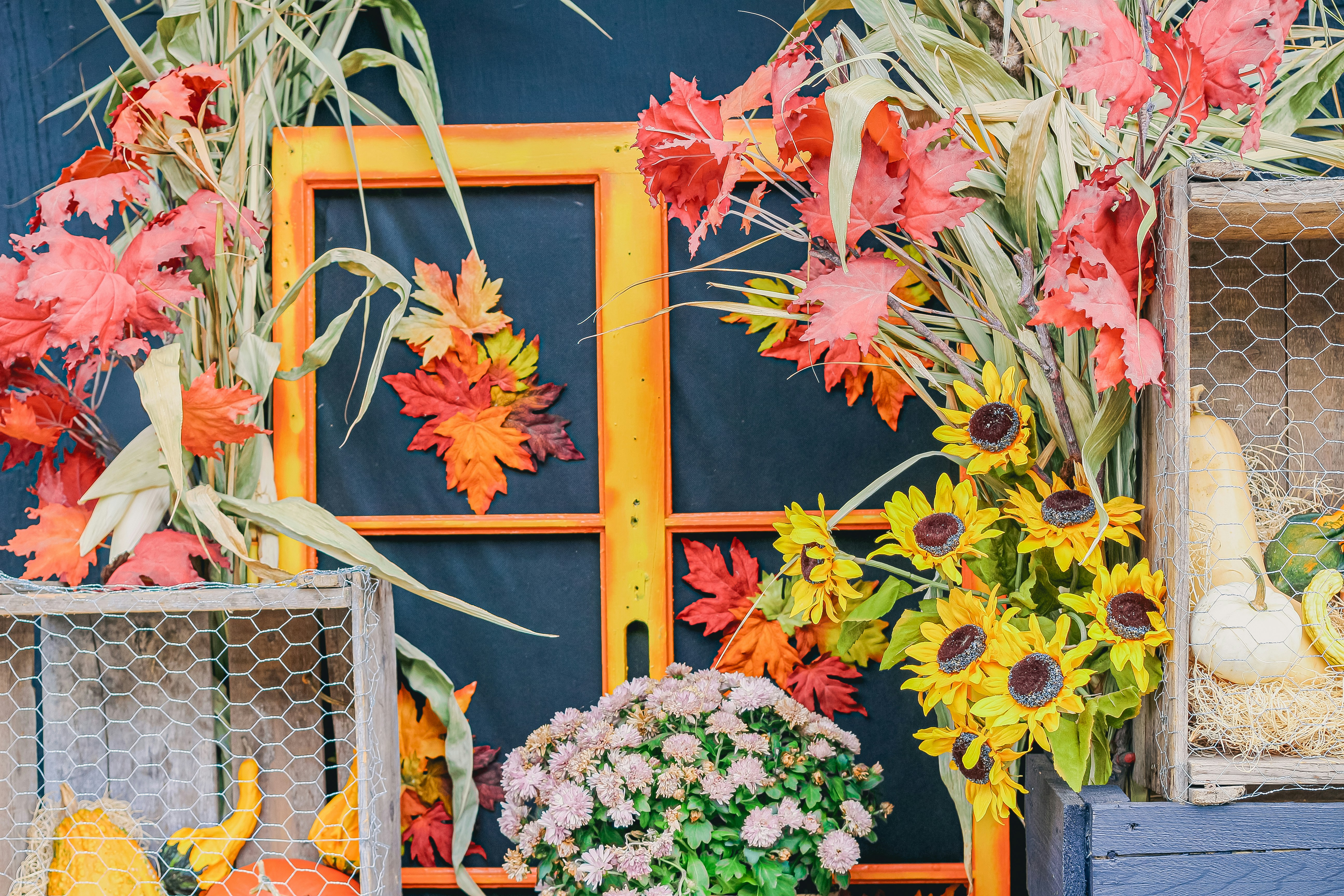 Autumn Frame: An Orange Window Surrounded by Sunflowers and Harvest Crates
