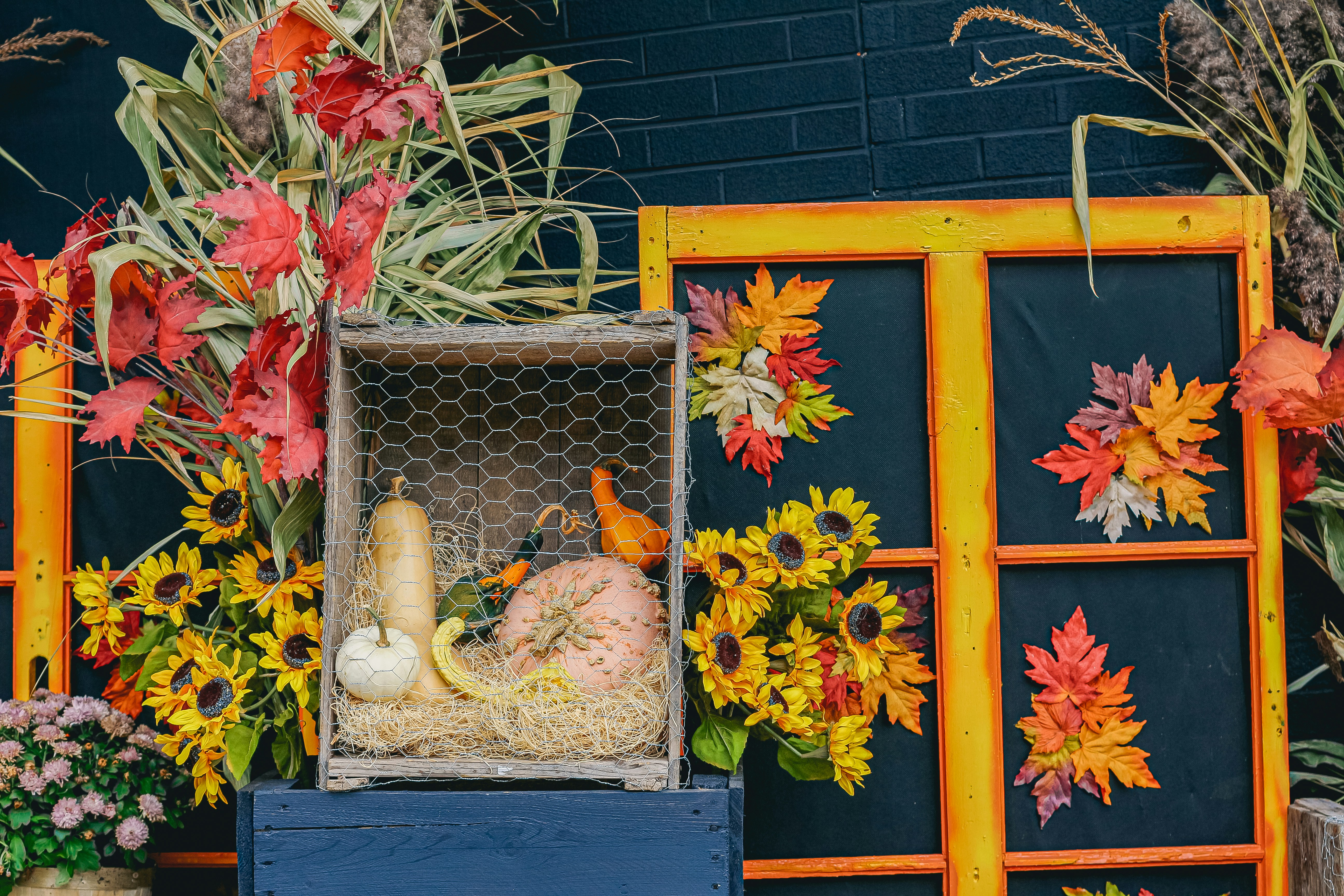 Caged Harvest: A Pumpkin Nestled Among Autumn Sunflowers and Rustic Frames