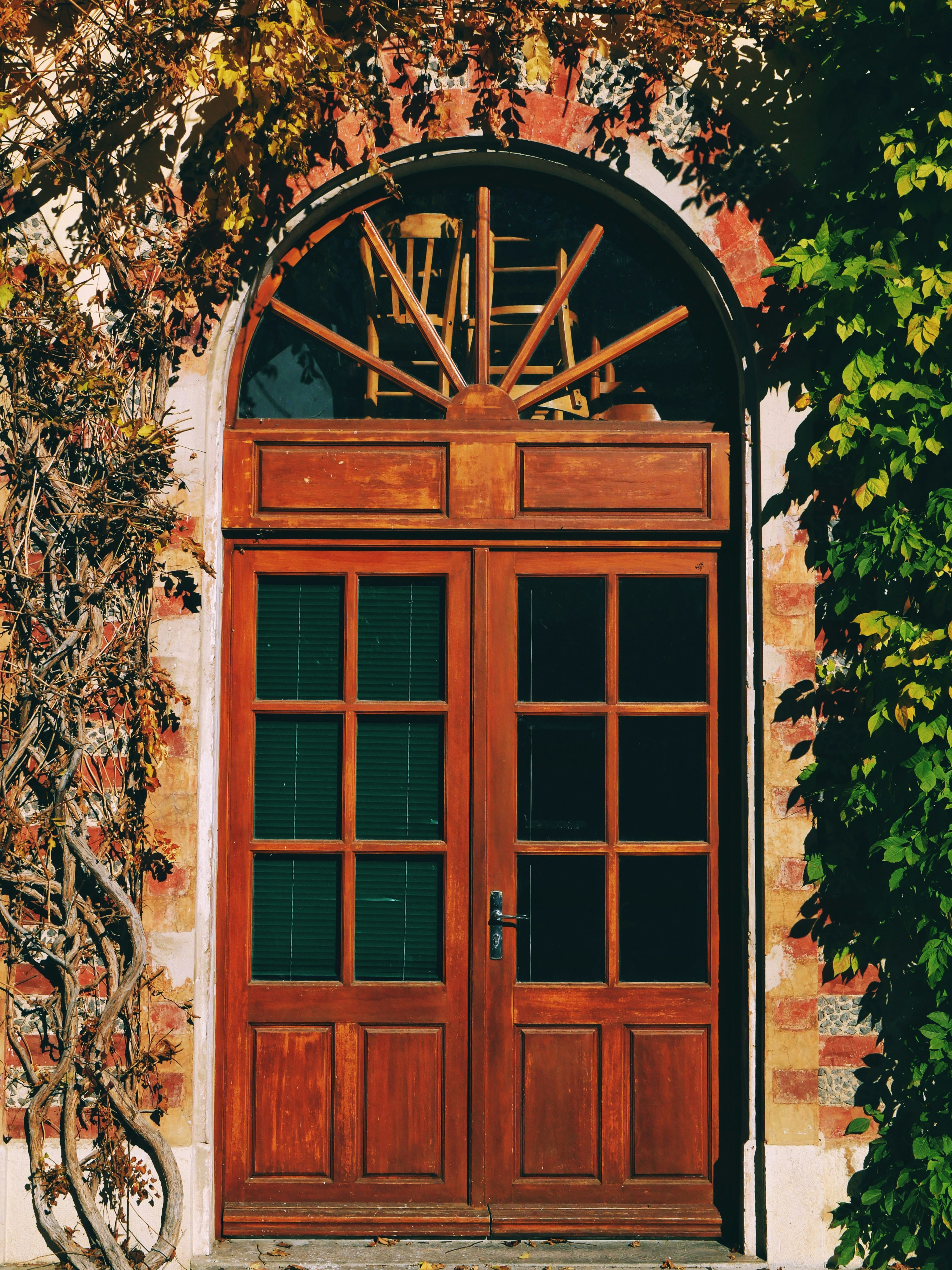 Ivy-Framed Archway: A Rustic Door in a Brick Facade