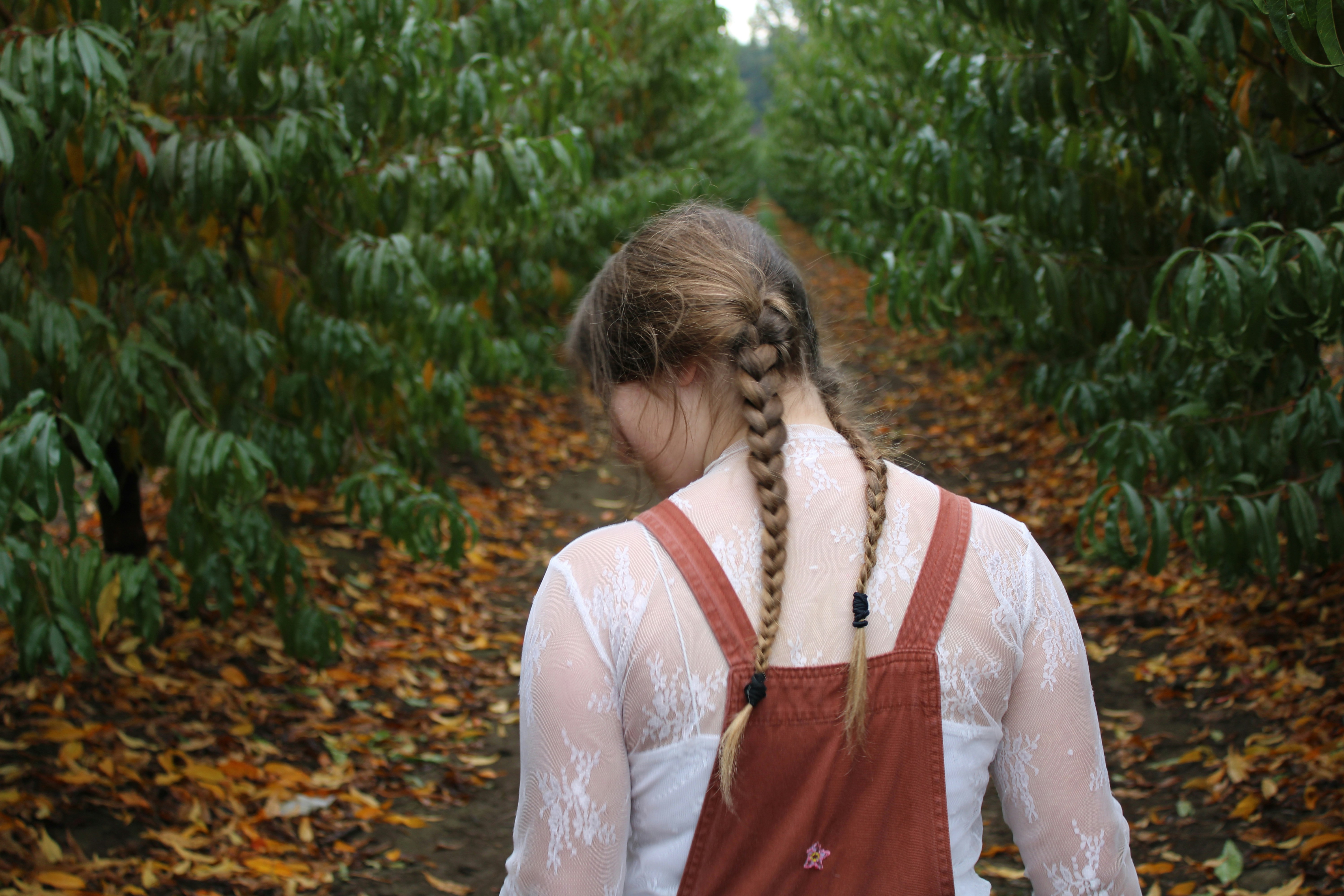 Braids in the Orchard: A Quiet Walk Through Autumn Aisle